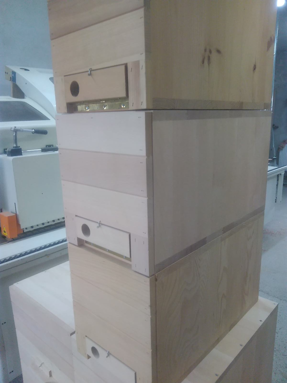 až 7 standard nukleus