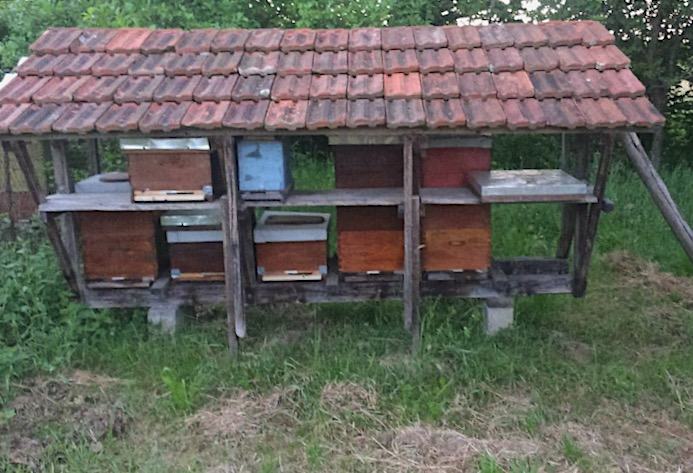 Pčele u košnici Rodna Voja