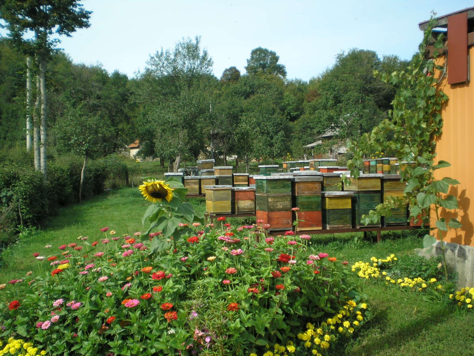 Pčelinje LR zajednice