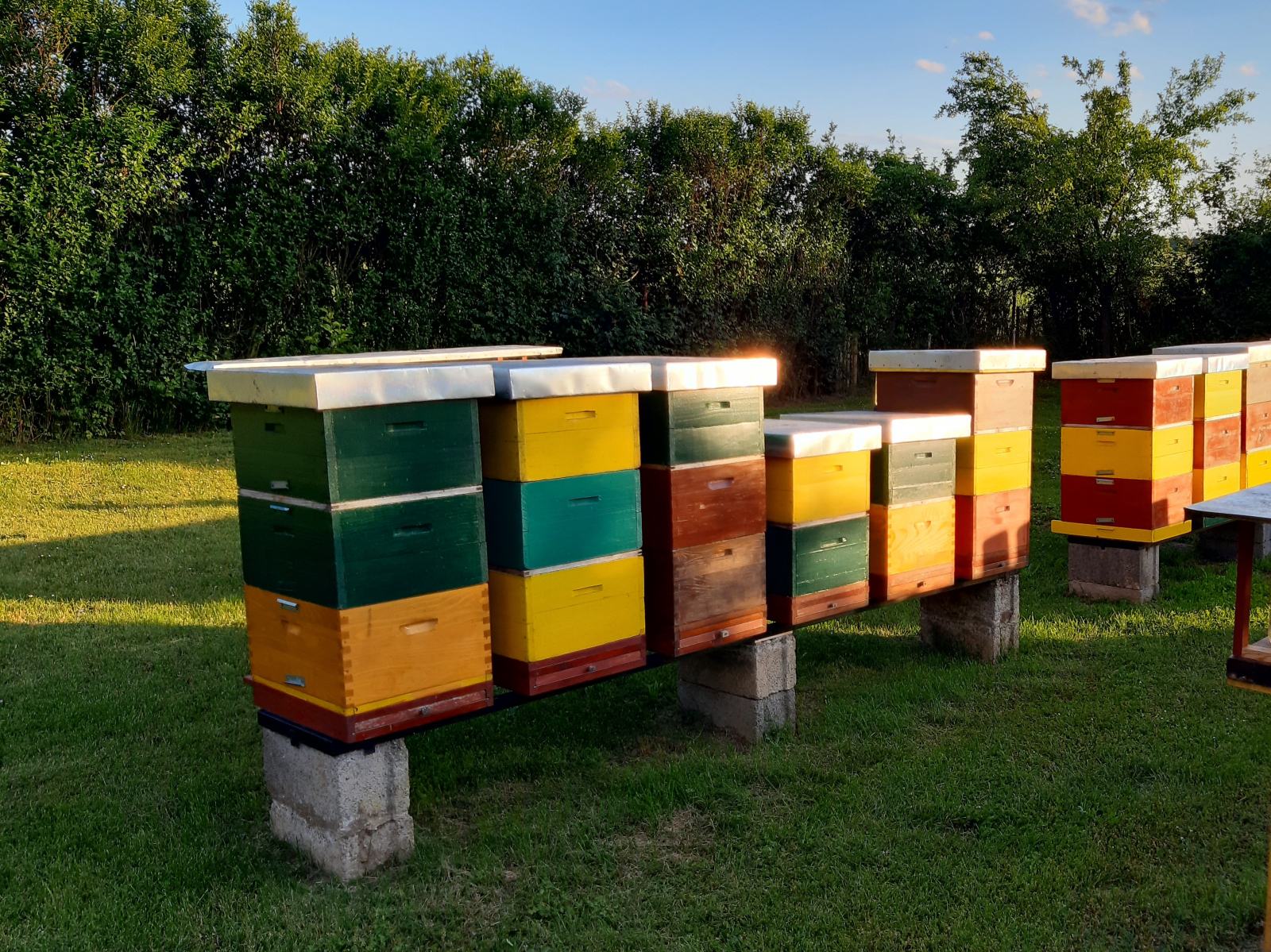 Pčelinje zajednice na 2 nastavka