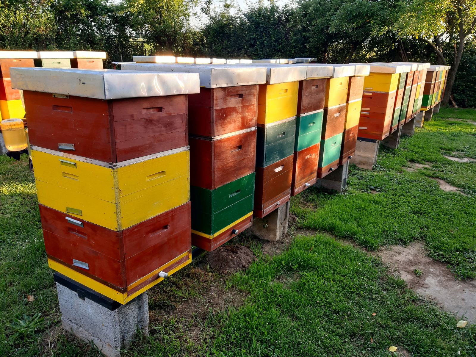 Pčelinje zajednice na 3 nastavka