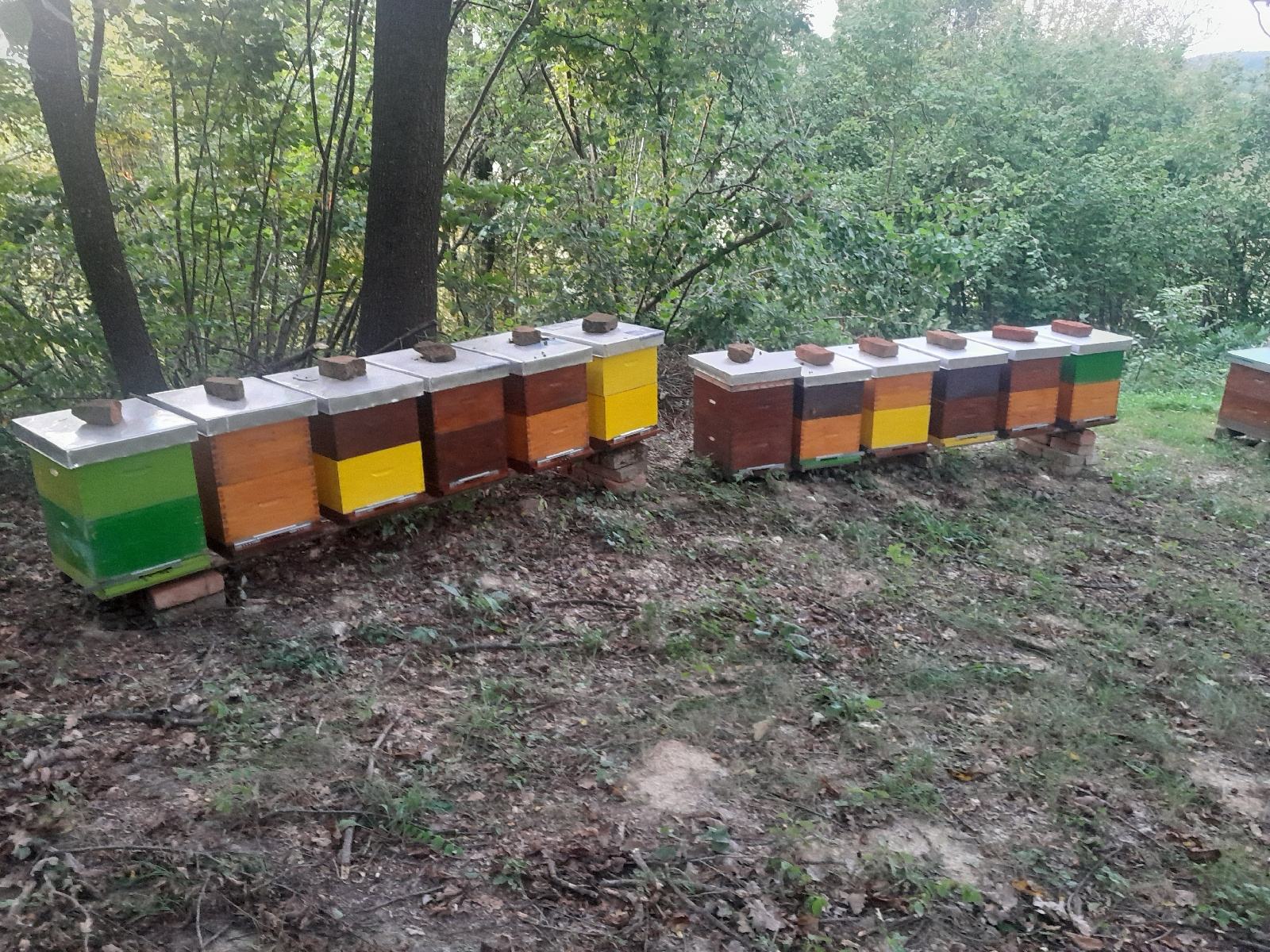 Pčelinje zajednice LR