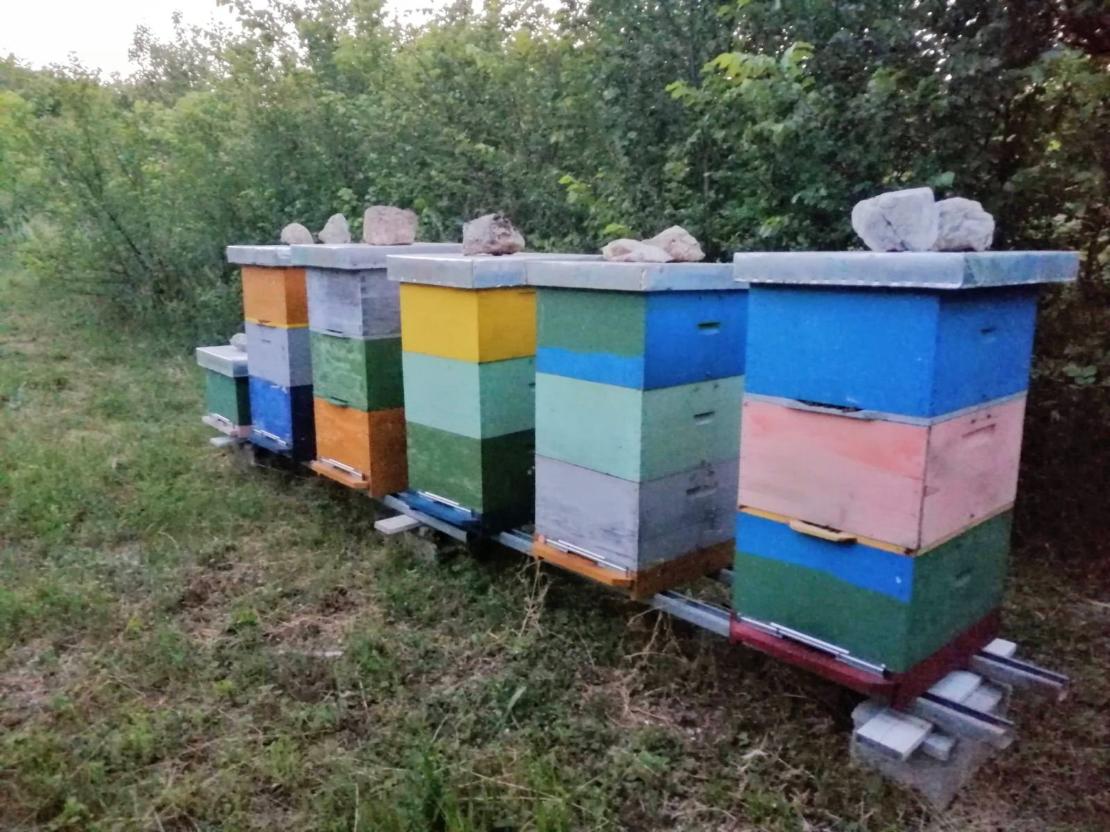 Prodaja košnica za pčele