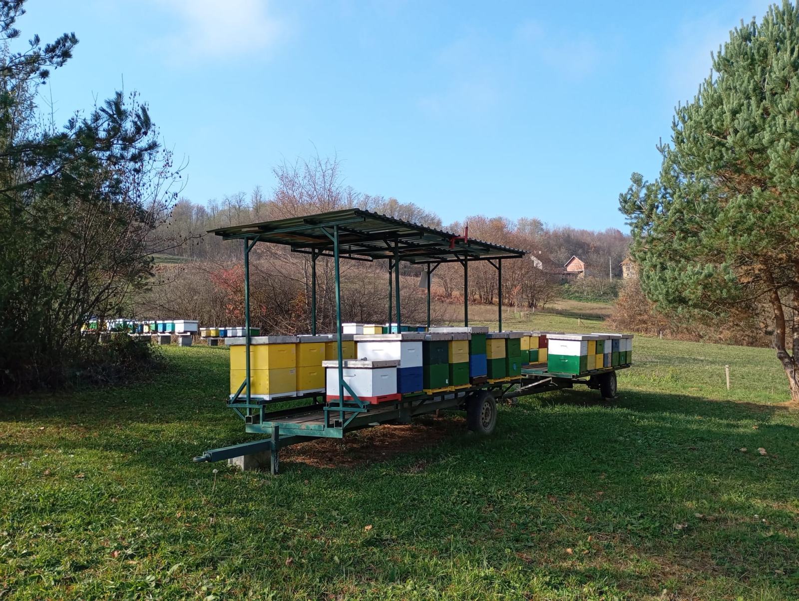 Prodaja pčela
