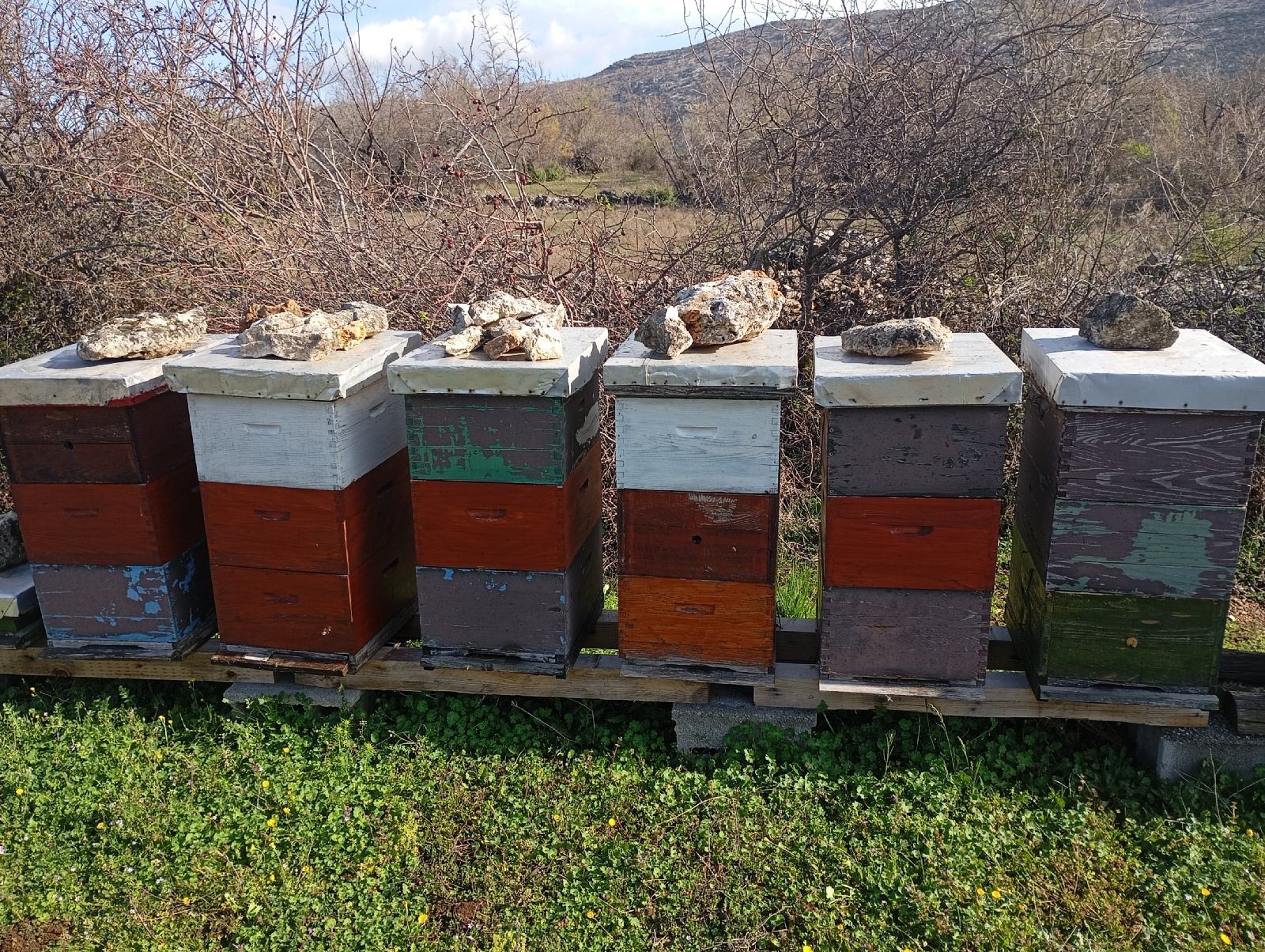 Prodajem košnice sa pčelama