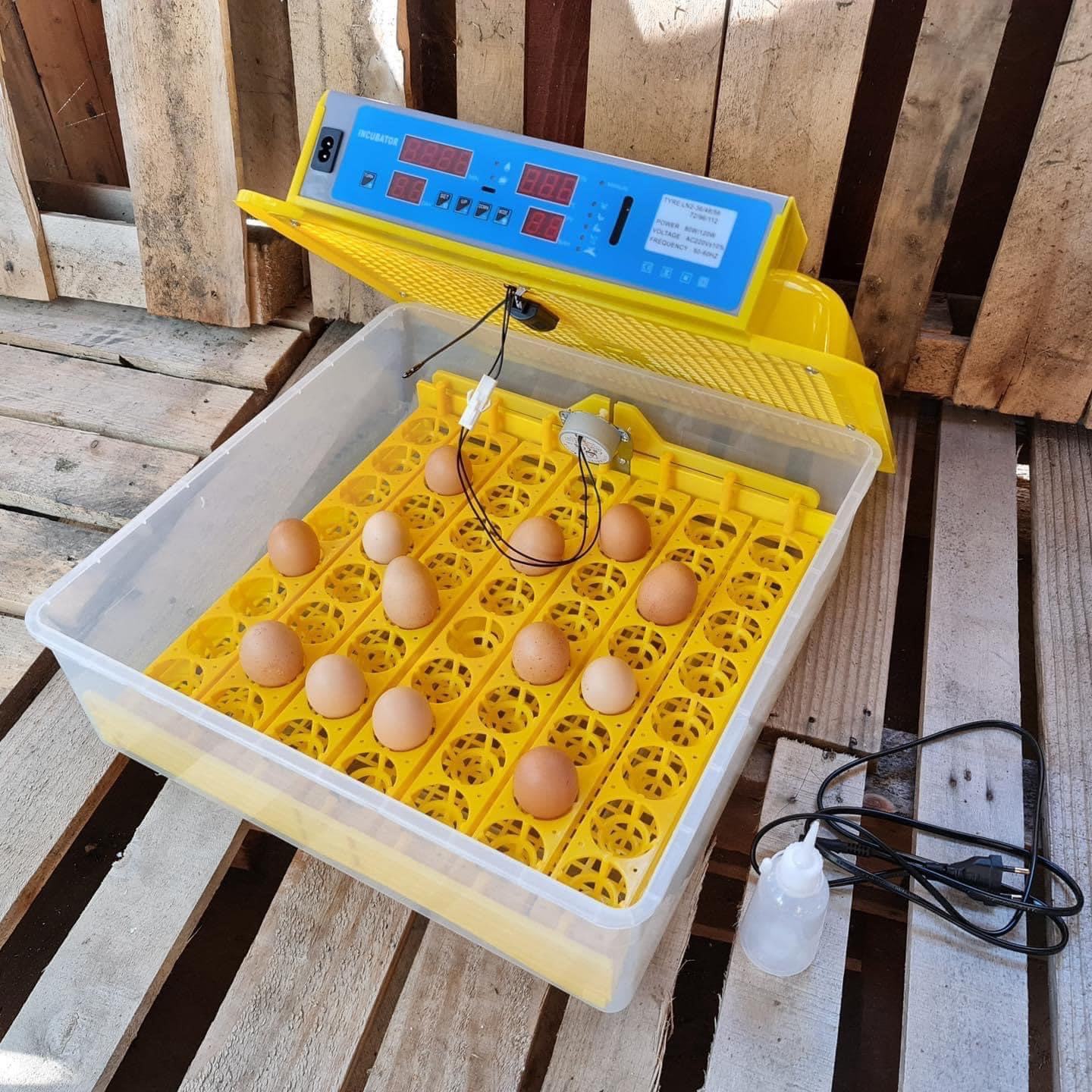 Inkubator za jaja 56