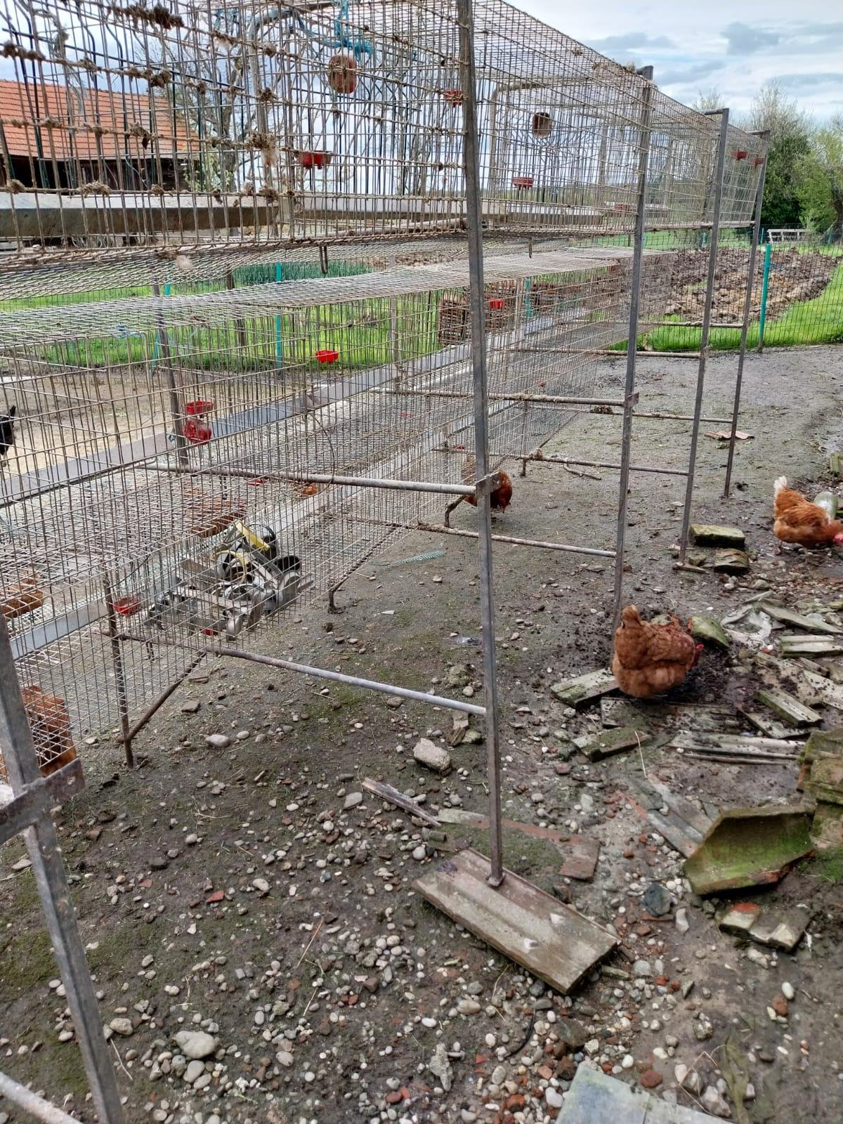 Kavez za kokoši