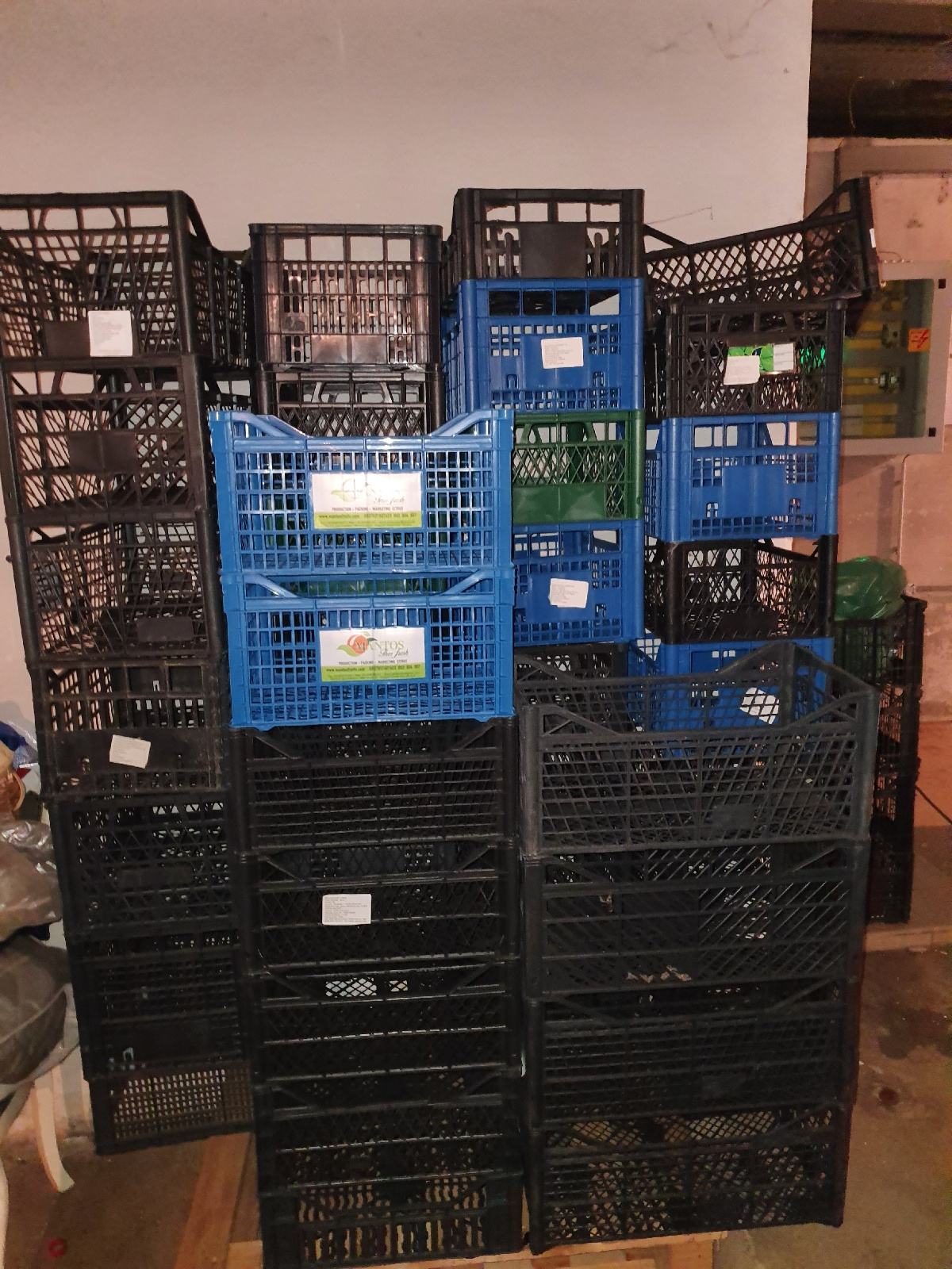 Plasticne gajbe poklanjam