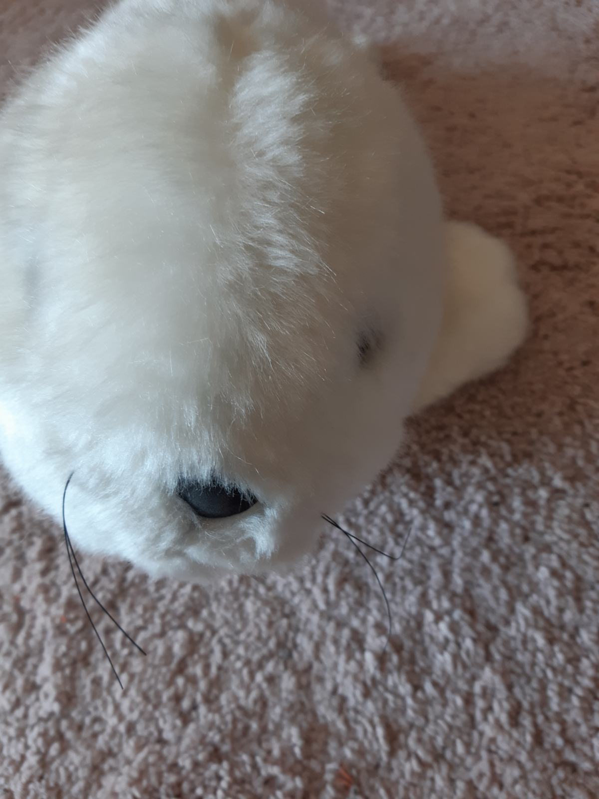 Polarni tuljan foka plišasta igračka