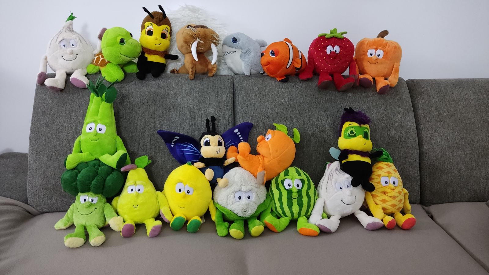 ZDRAVOLJUBCI, MORSOVCI I ZOOMIĆI RAZNI