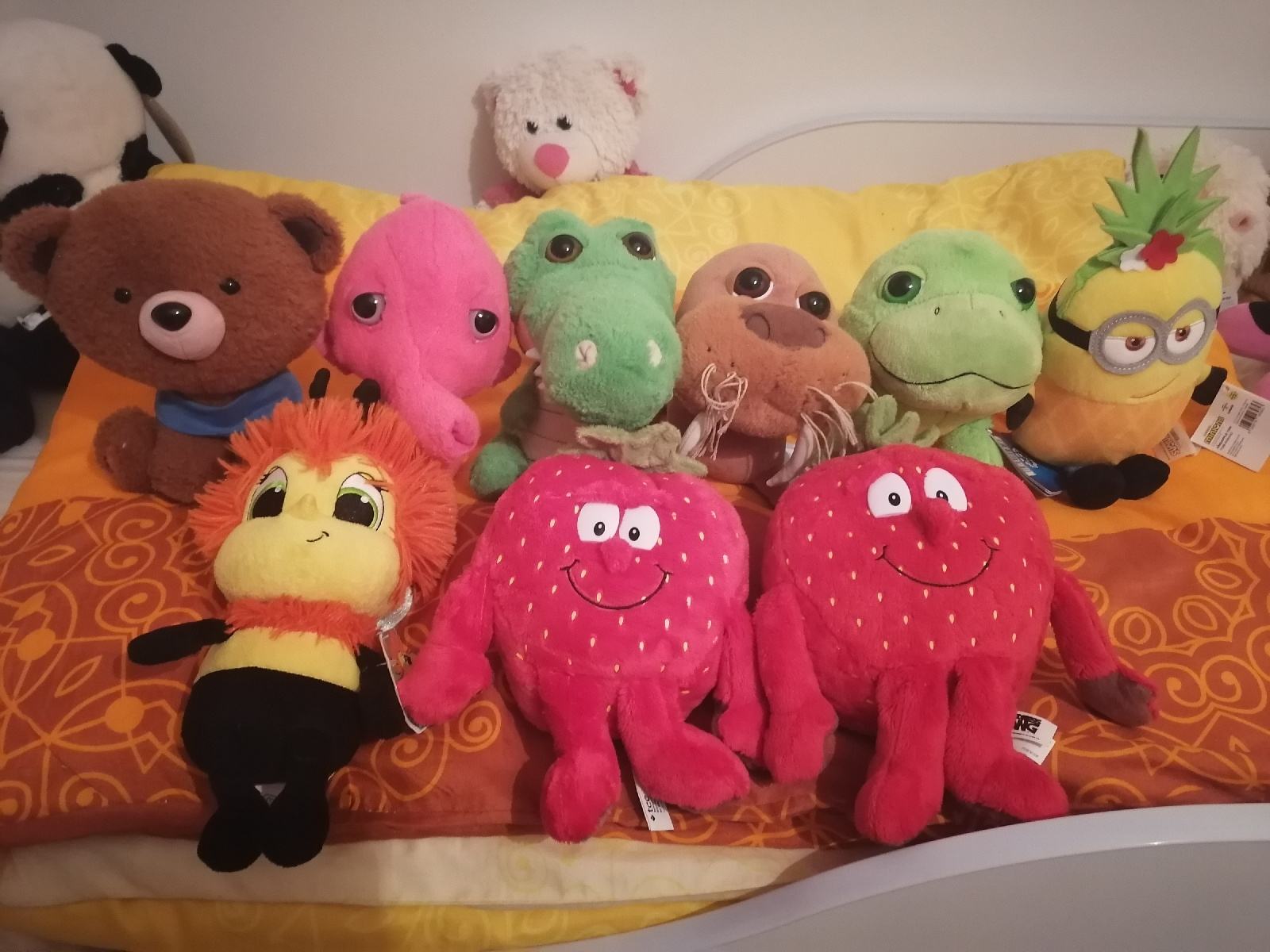 Zdravoljupci, morsovci, zumići