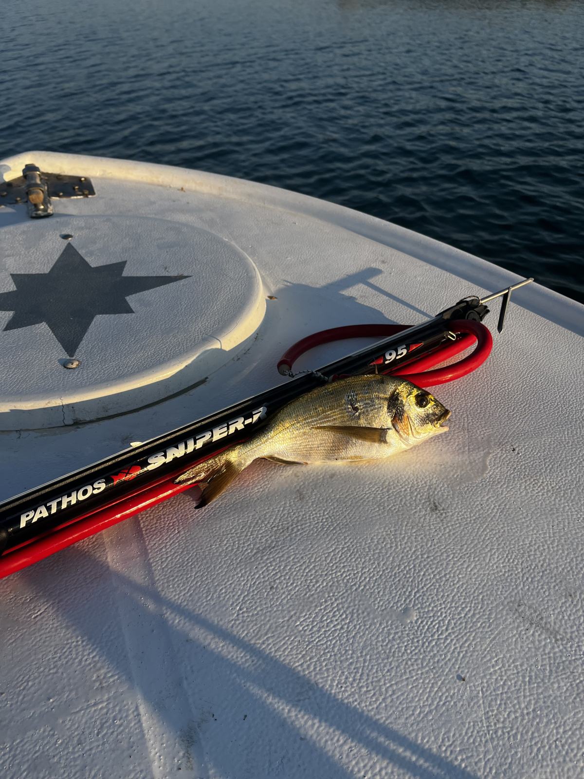 Pathos sniper roller-r 95