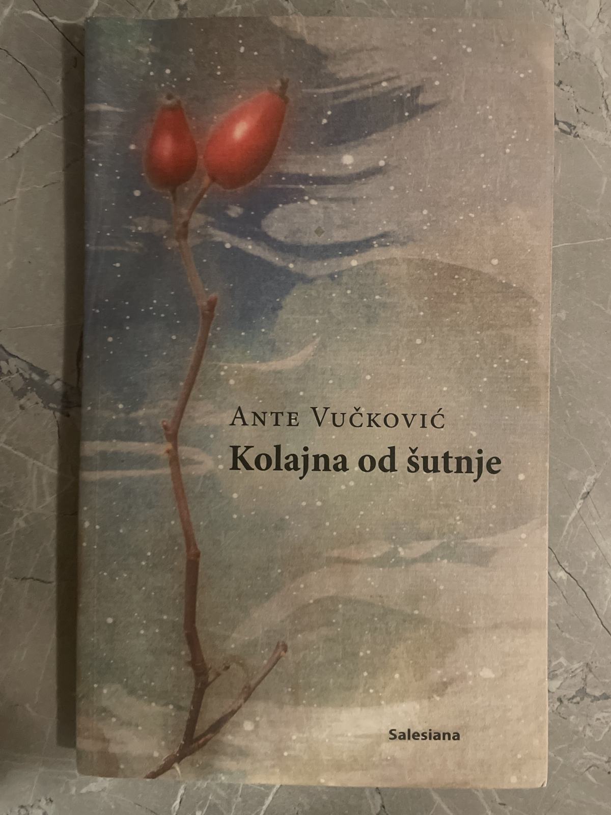 Ante Vučković - Kolajna od šutnje