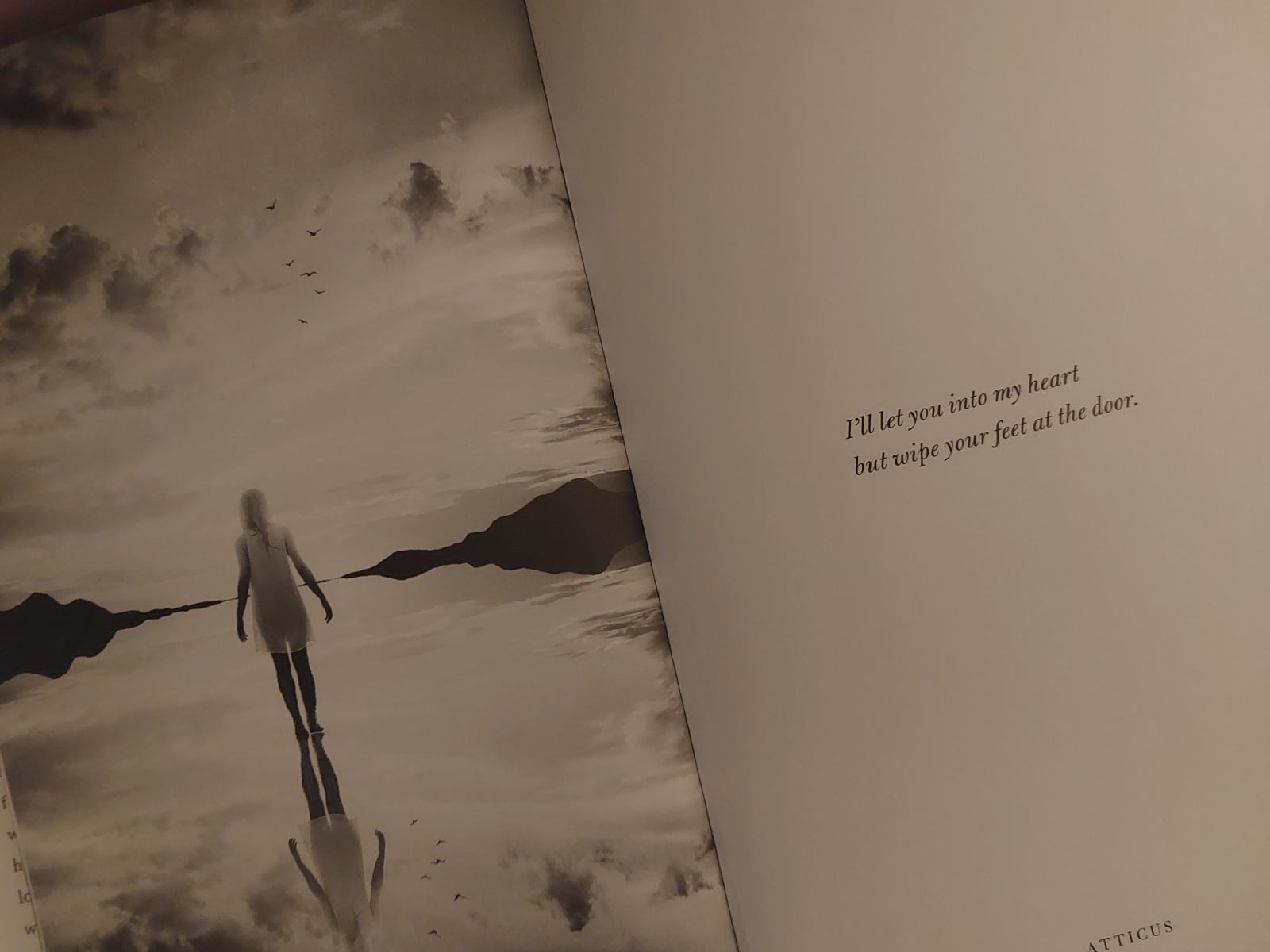 Atticus Love Her Wild / poezija / knjiga na engleskom