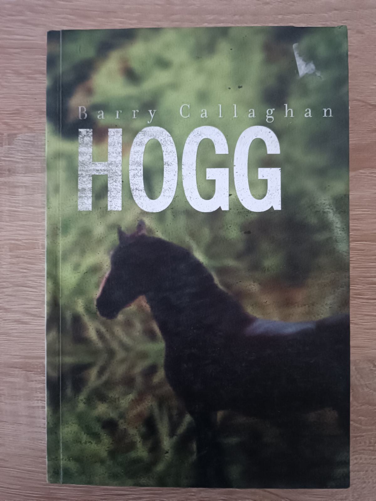 Barry Callaghan: Hogg : pjesme i crteži