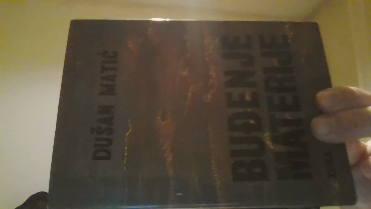 DUŠAN MATIĆ - BUĐENJE MATERIJE