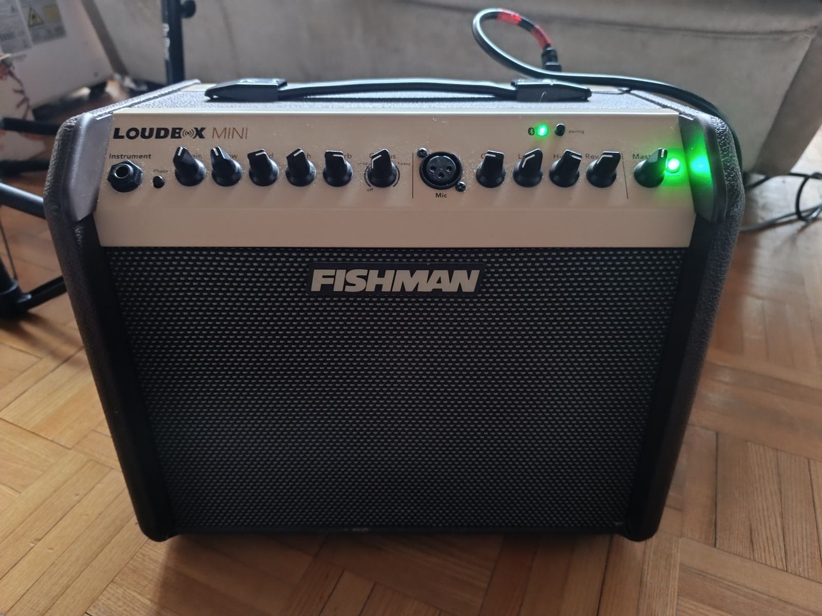 Fishman Loudbox Mini