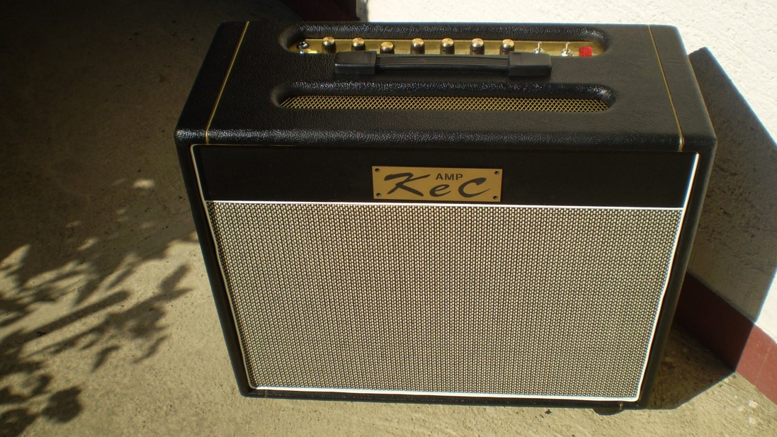 Marshall Handwired 18W 1x12 Combo (clone)