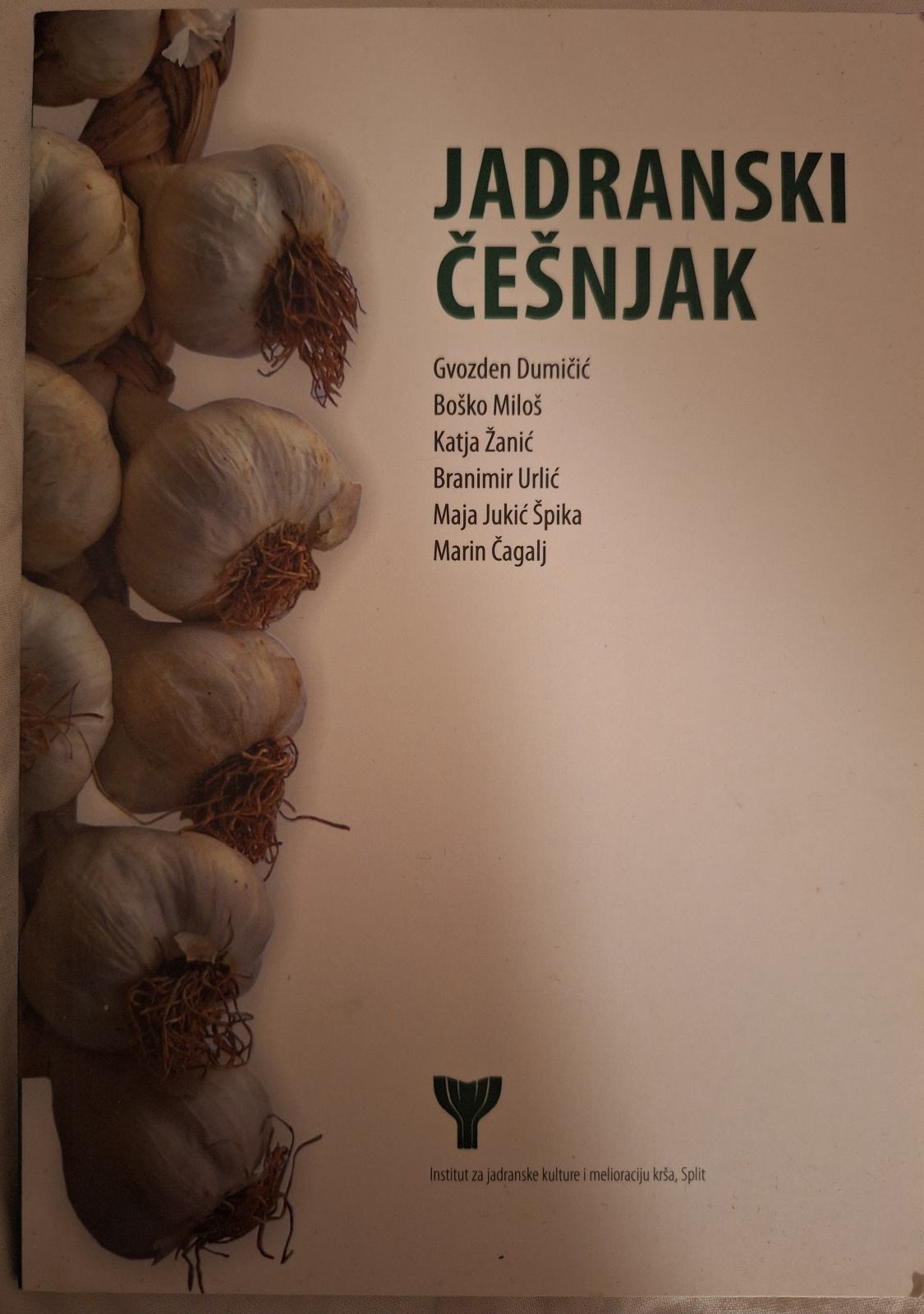 JADRANSKI ČEŠNJAK