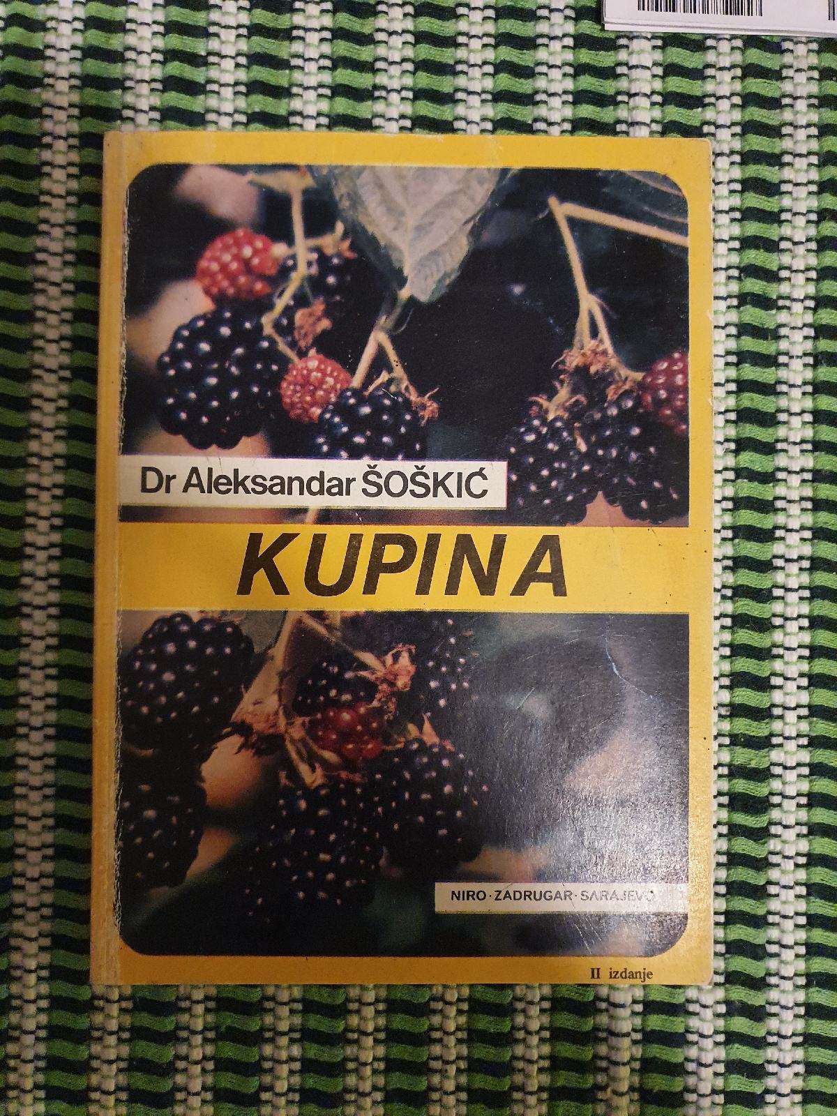 Kupina