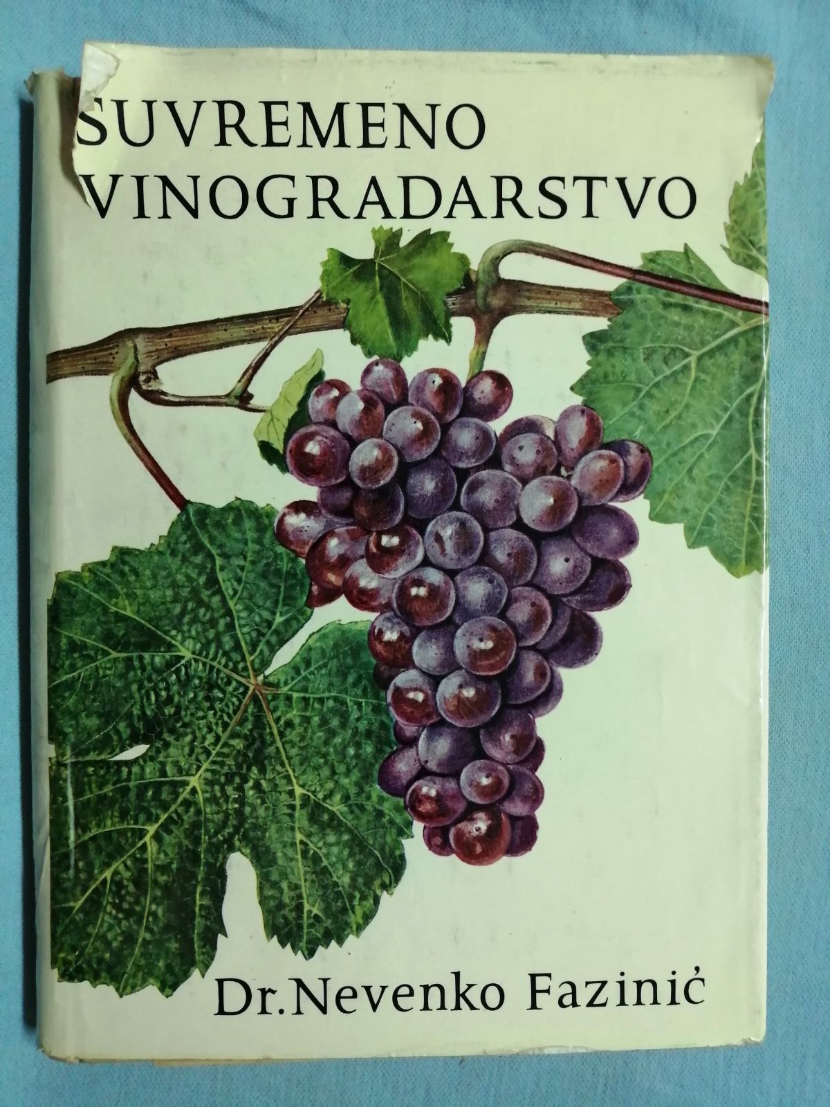 Nevenko Fazinić – Suvremeno vinogradarstvo (A28)