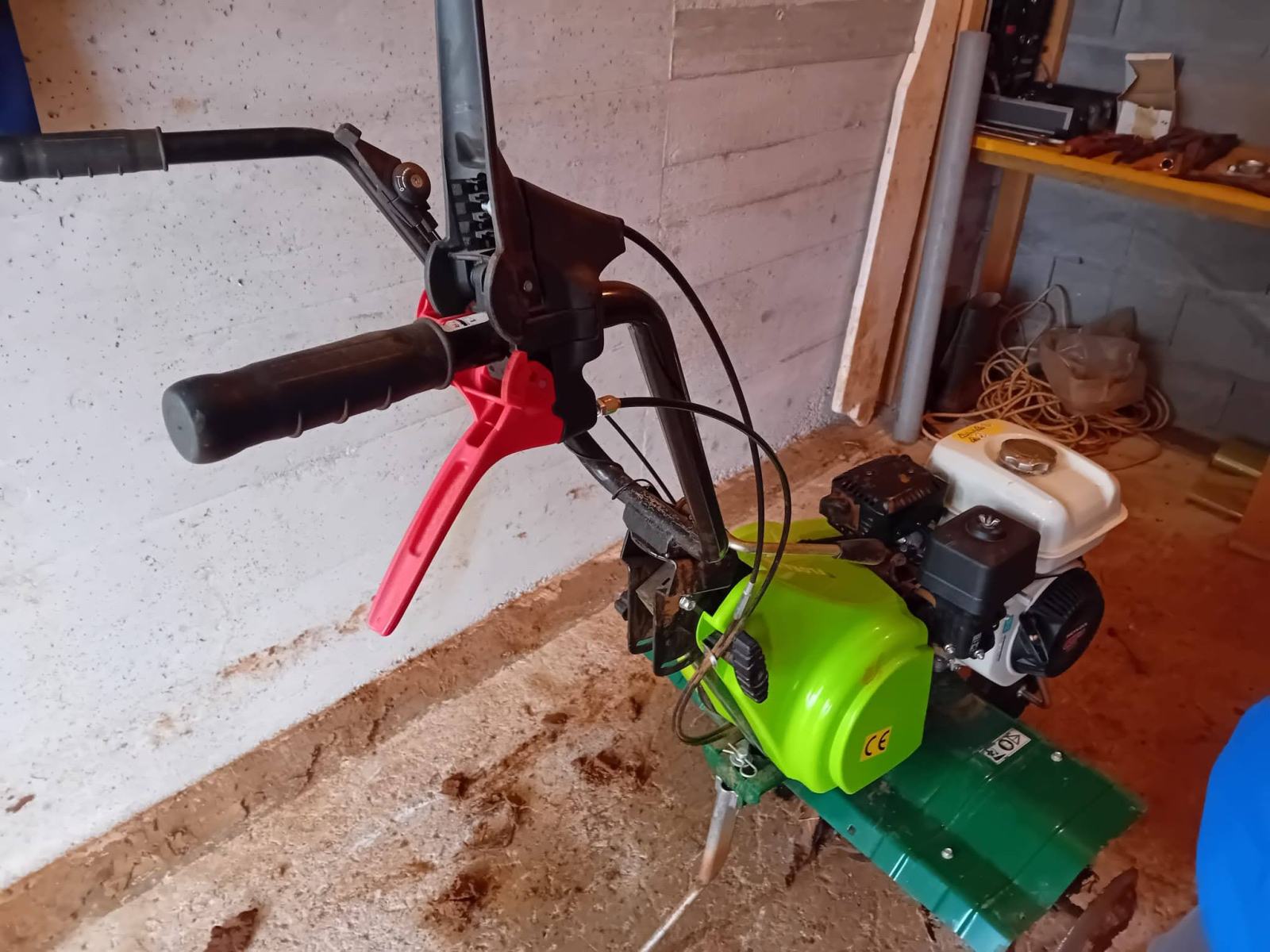 labinprogres flora 55