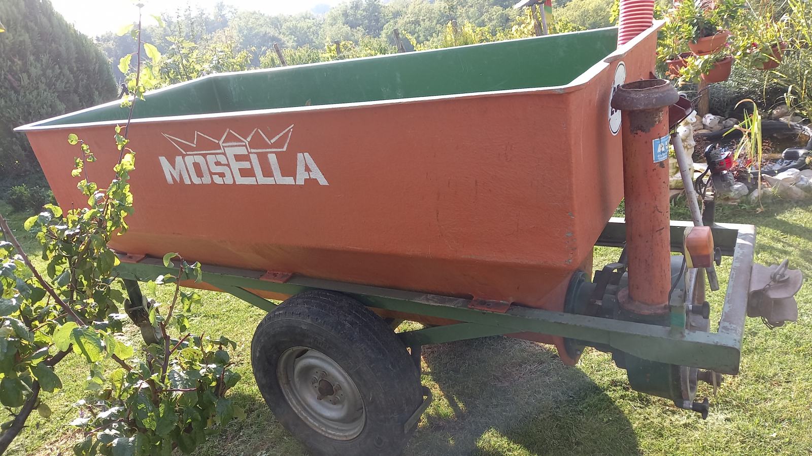 MOSELLA