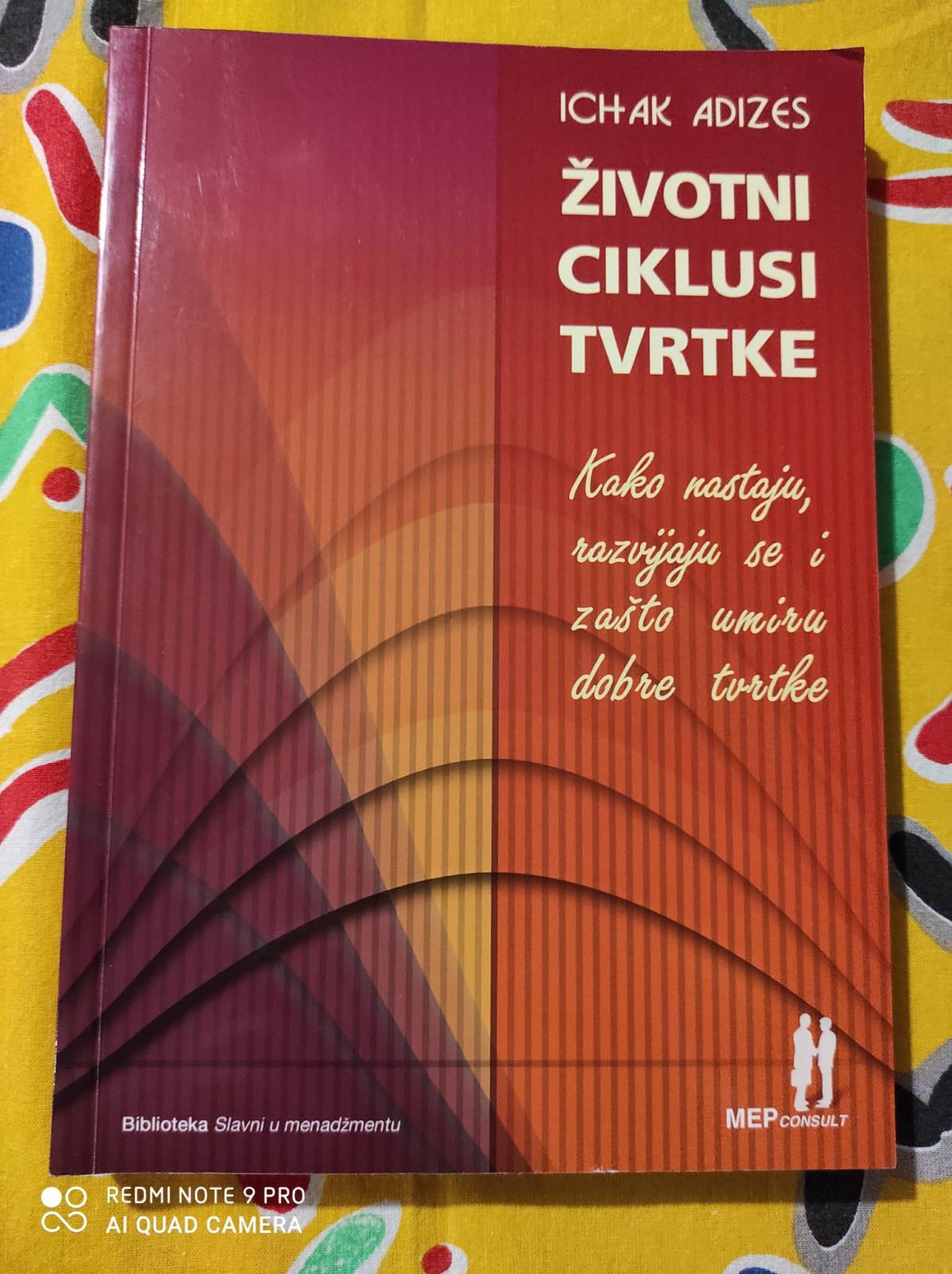 Ichak Adizes - Životni ciklusi tvrtke