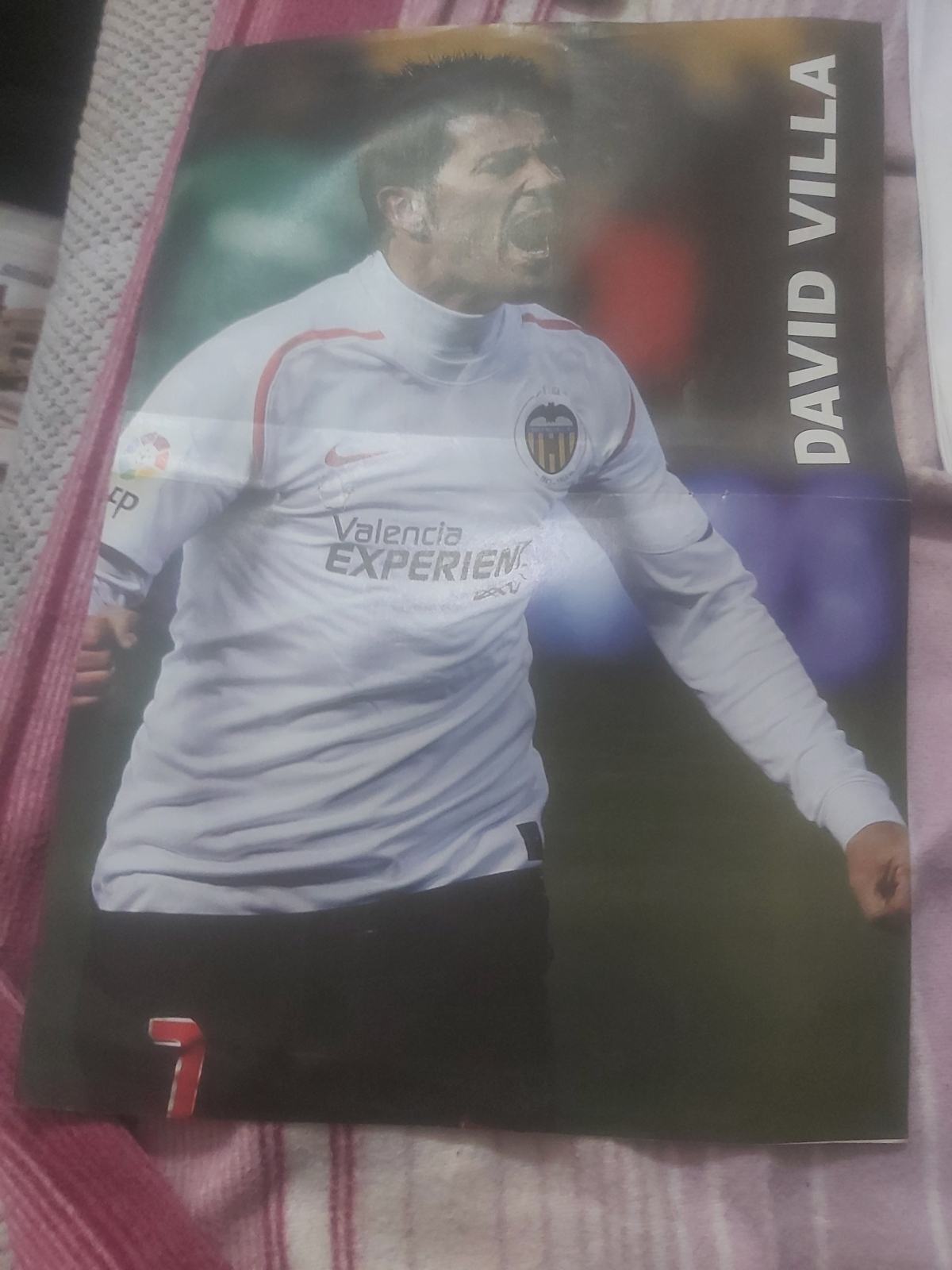 DAVID VILLA POSTER