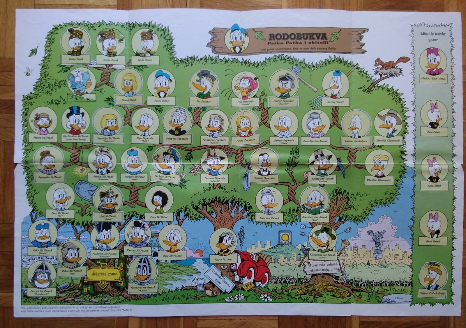 Rodbukva - rodoslovno stablo Paške (Paje) Patka