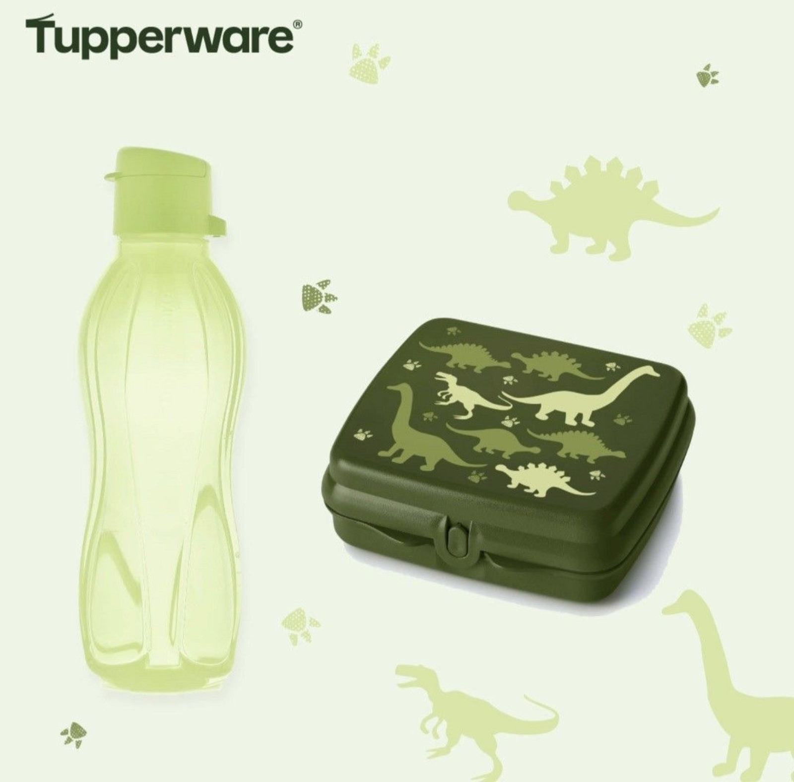 Tupperware dječji set za školu boca 310ml i kamenica dino
