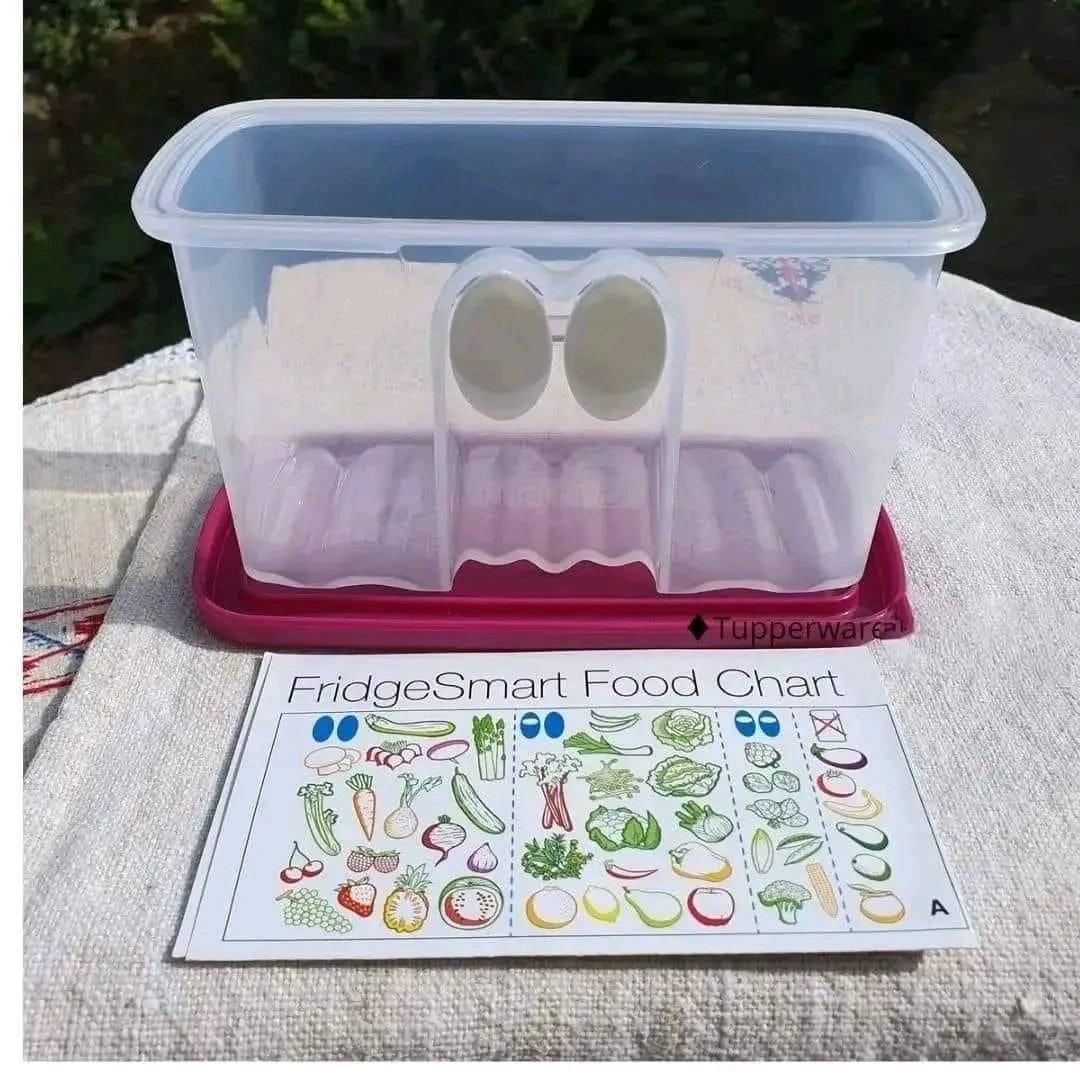 Tupperware Fridgesmart( super svježina) mini 350 ml