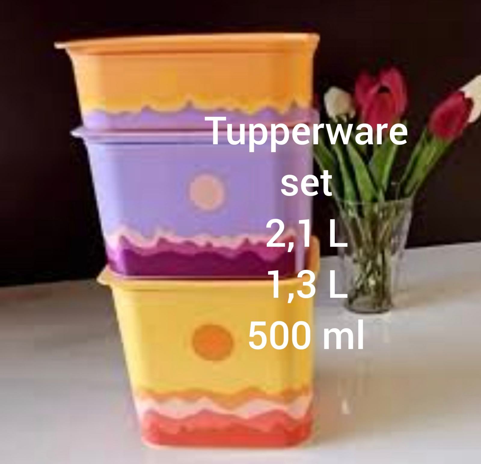 Tupperware univerzalni set spremnika