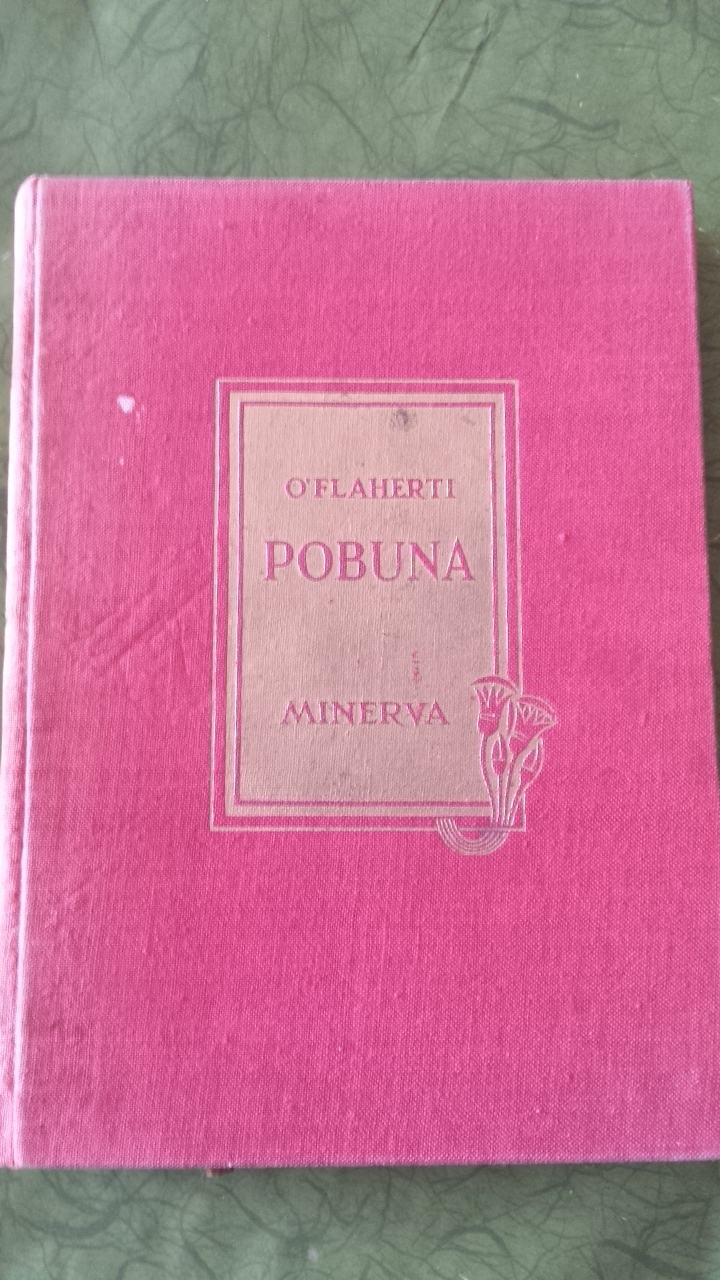 Liem OFlaherti Liam OFlaherty; Pobuna (roman)