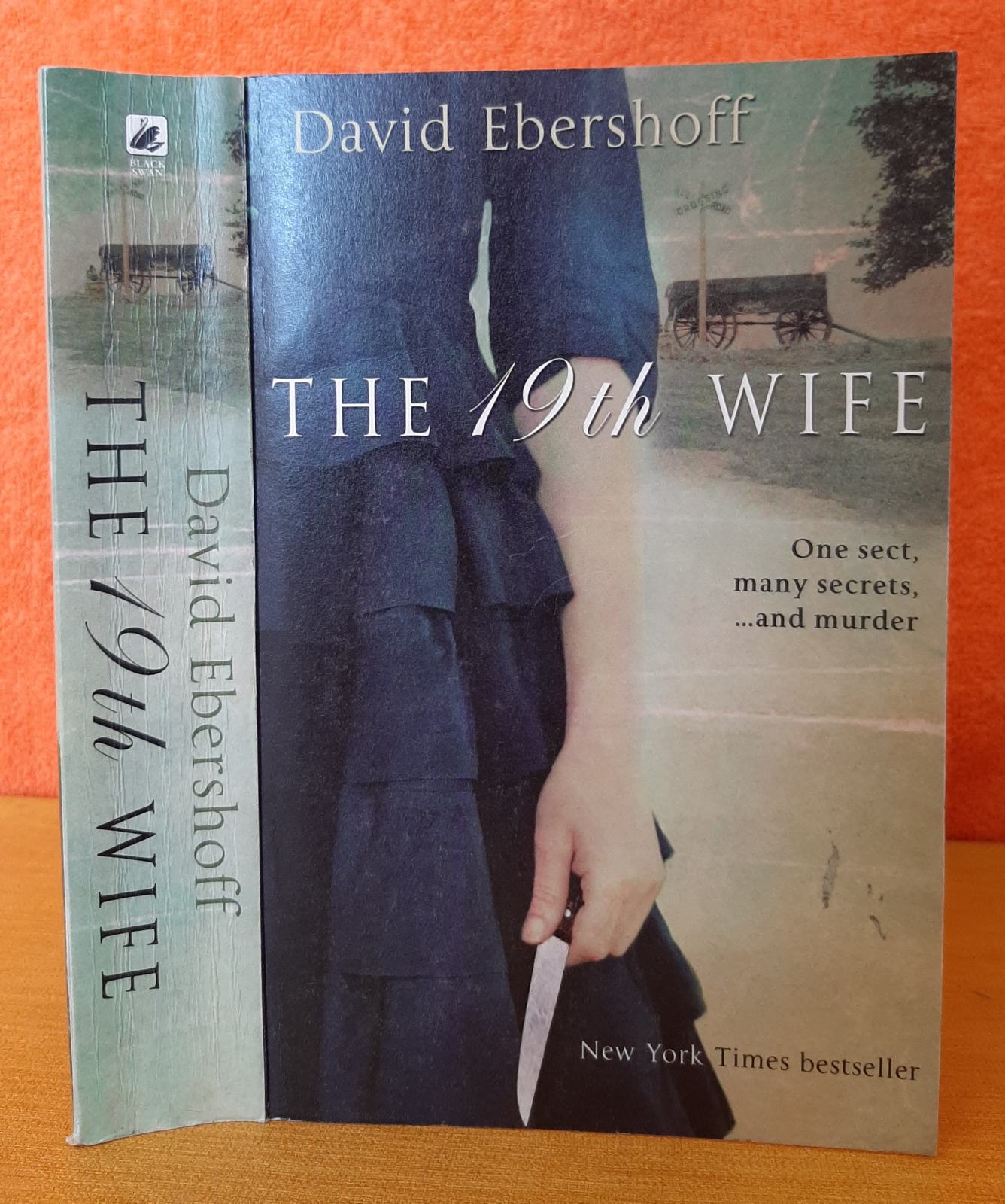 The 19th wife - David Ebershoff
