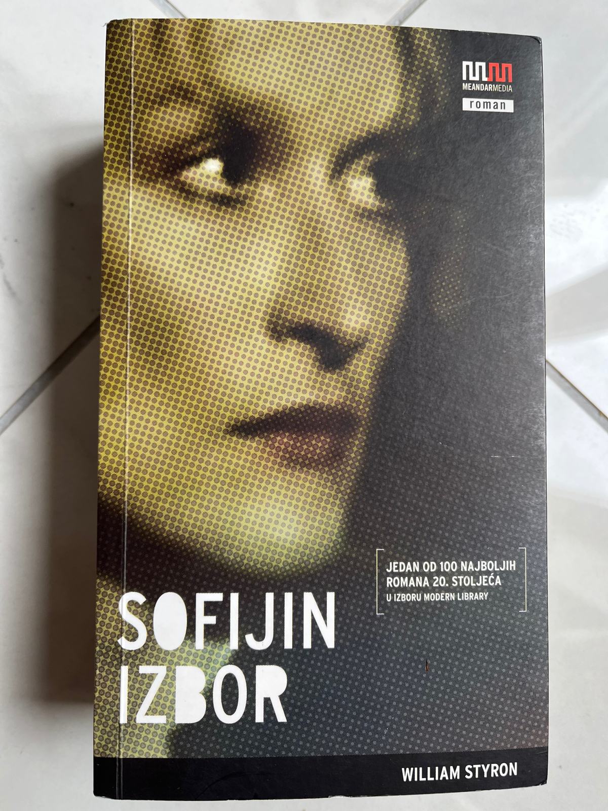 William Styron, SOFIJIN IZBOR