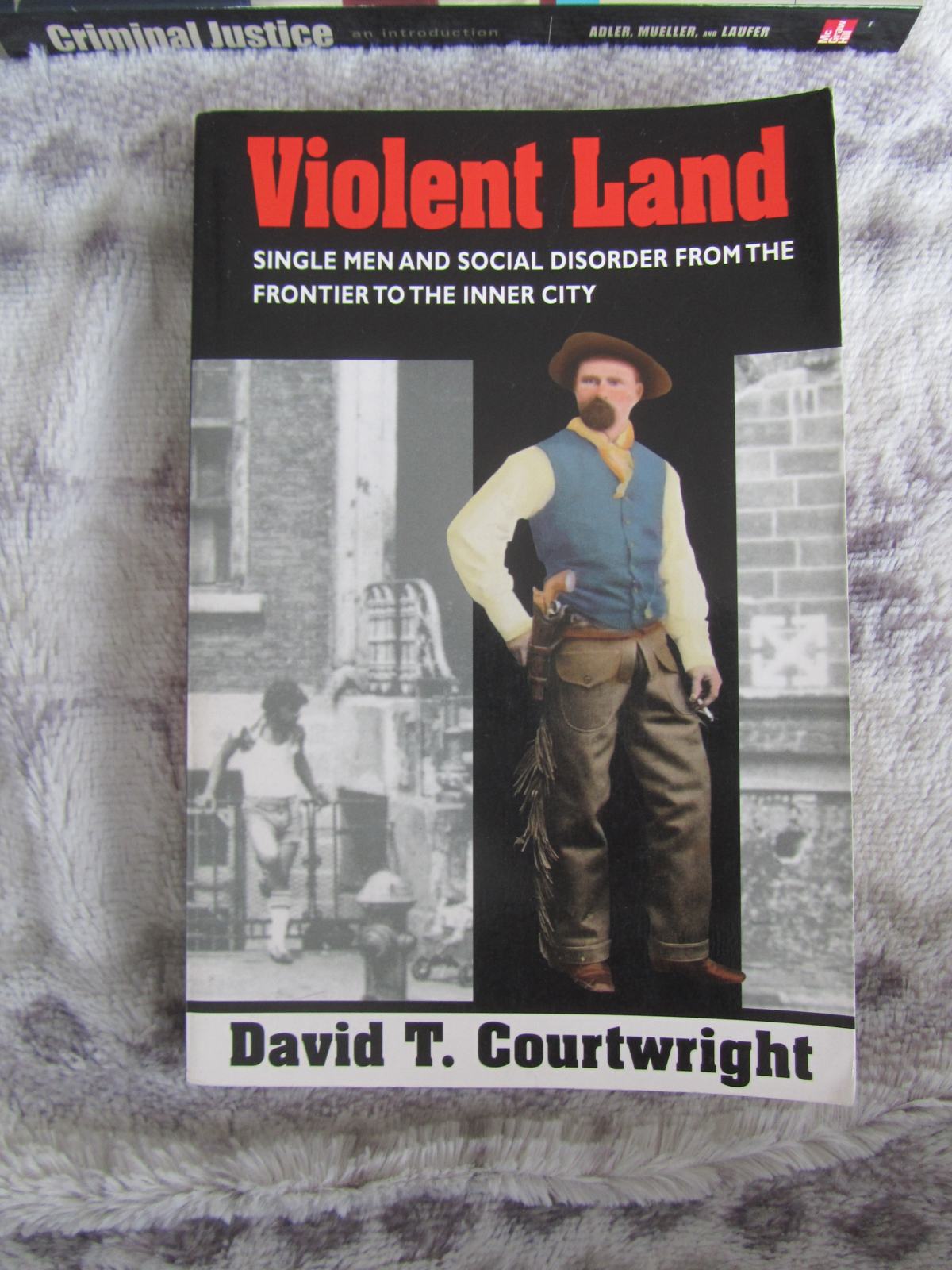David T. Courtwright-Violent Land (NOVO)