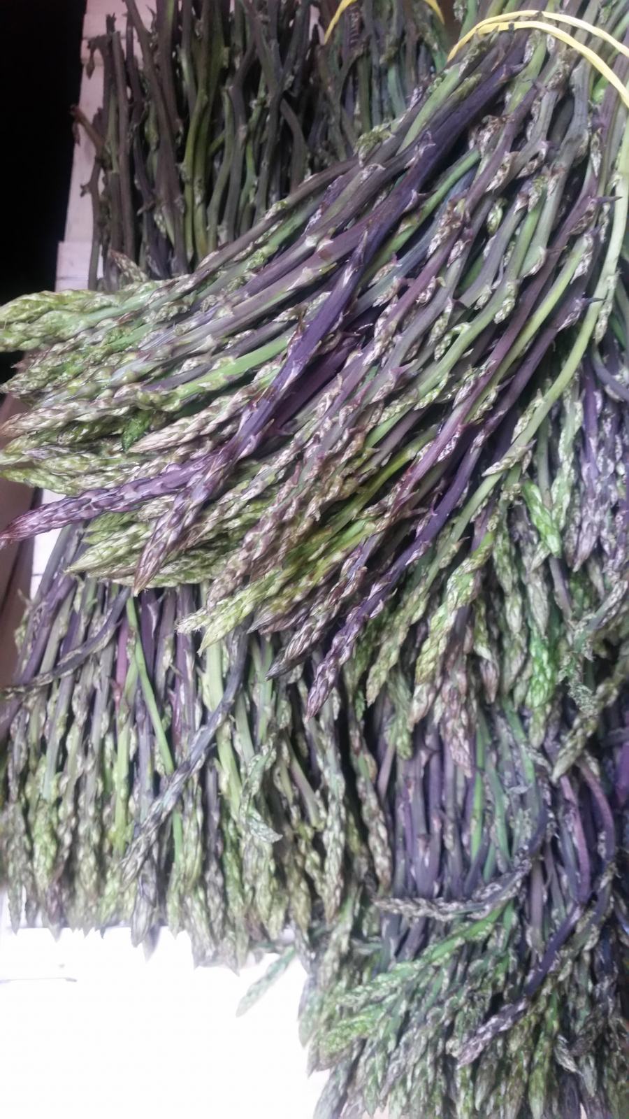 DIVLJE ŠPAROGE IZ DALMACIJE - ZAGREB ZAPAD