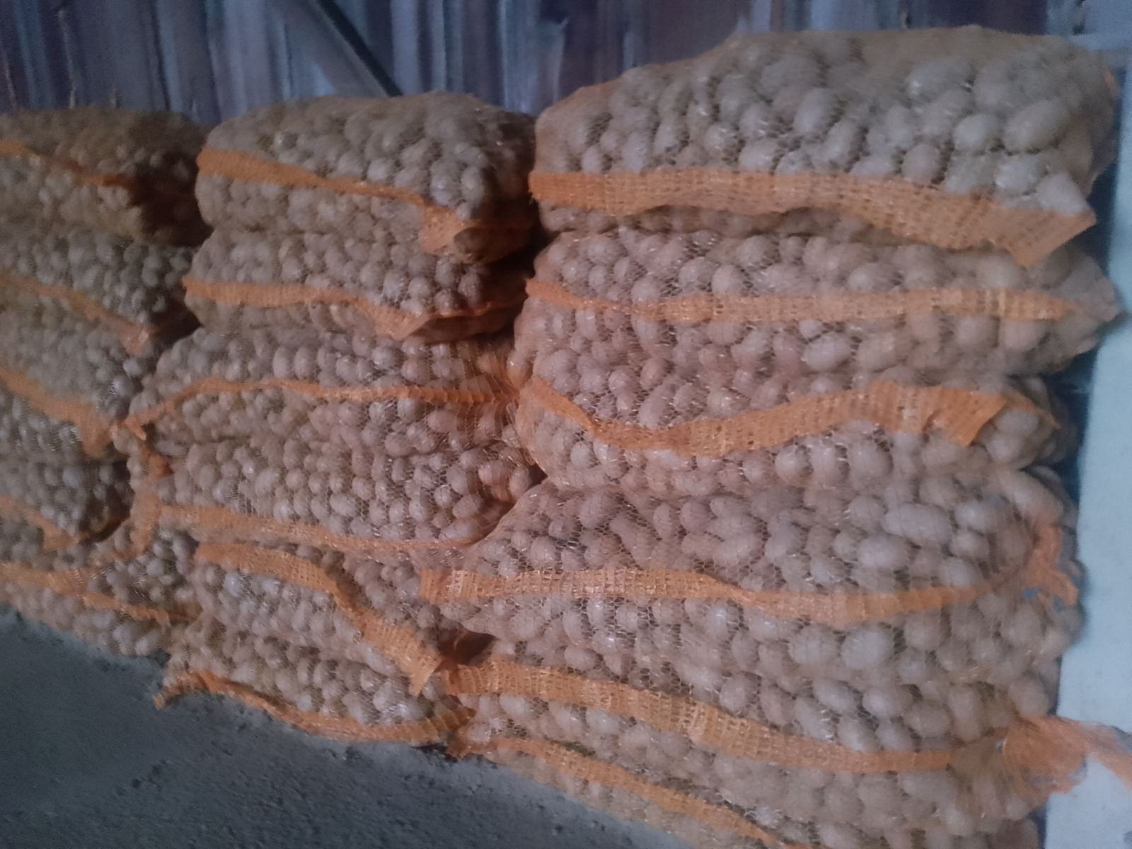 Krumpir sitni 30kg=3€