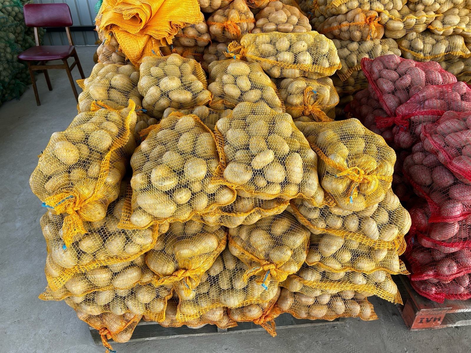 Krumpir 0,5 €/kg