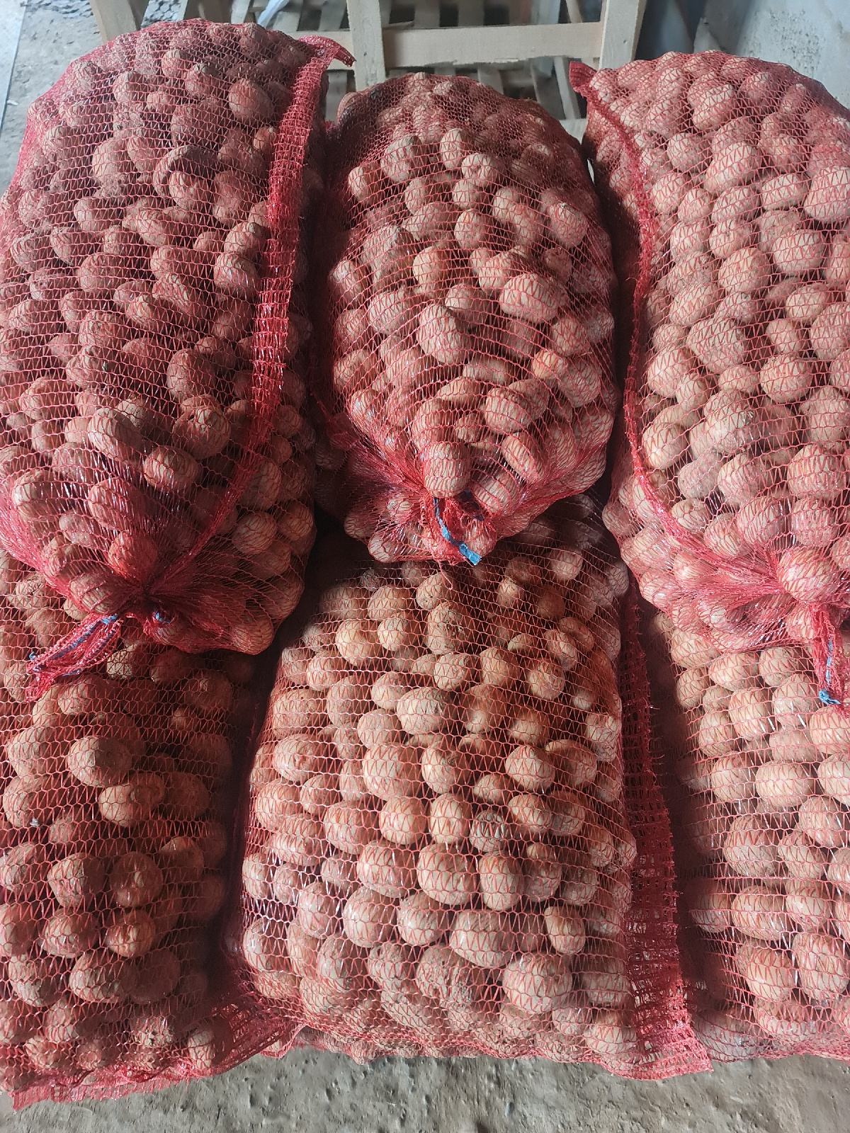 otpadni krumpir(sitni)