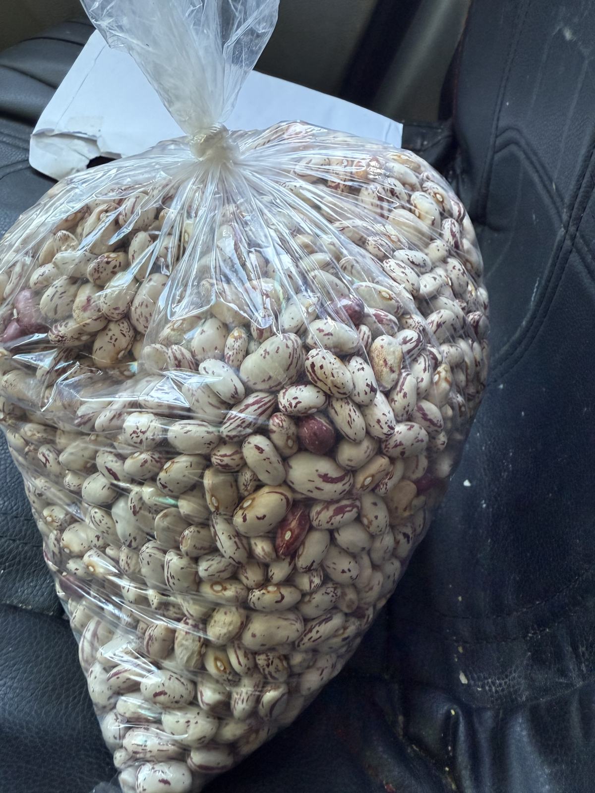 Prodaje se suhi domaći grah tresnjevac