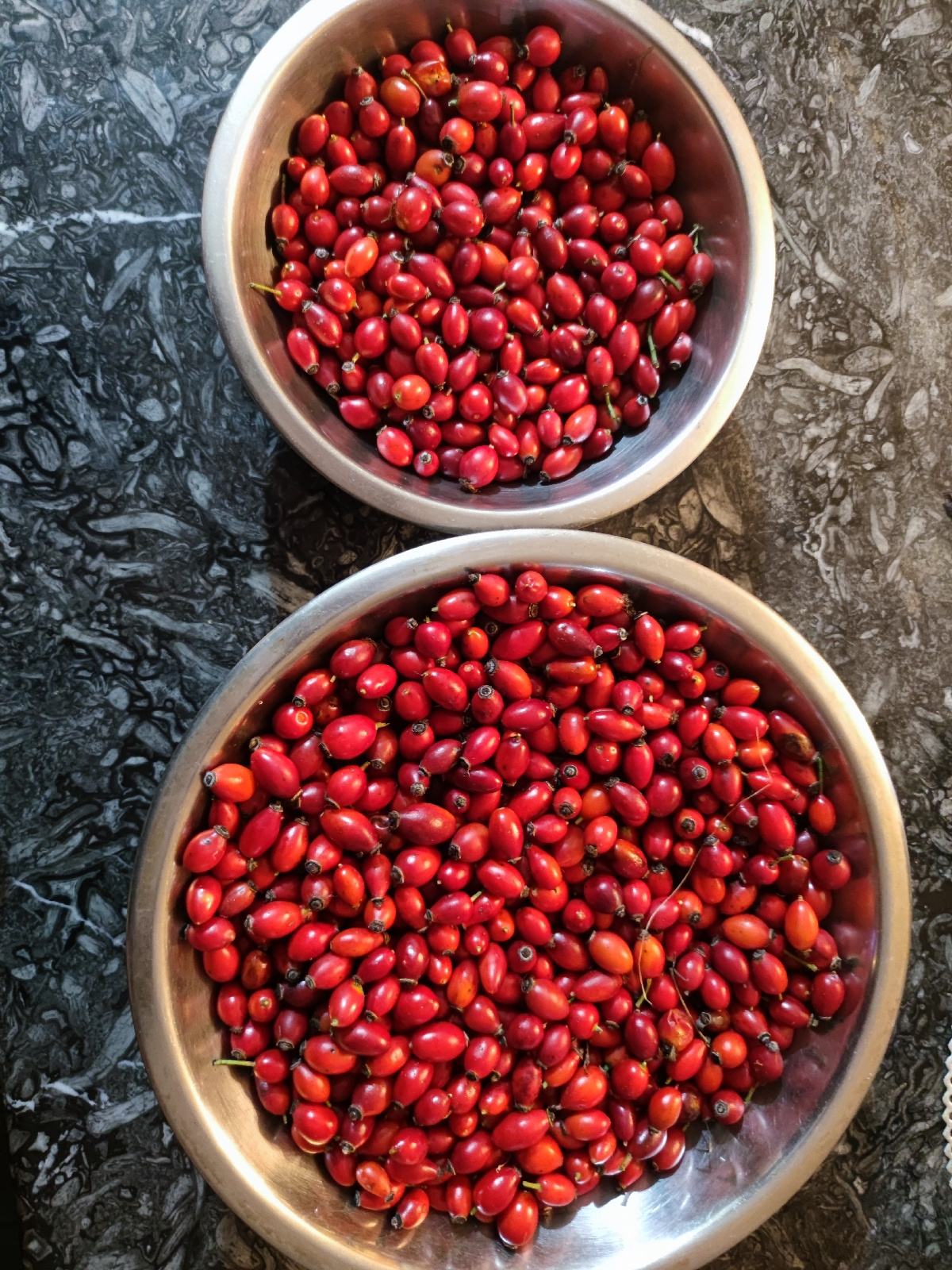 Prodajem divlji šipak