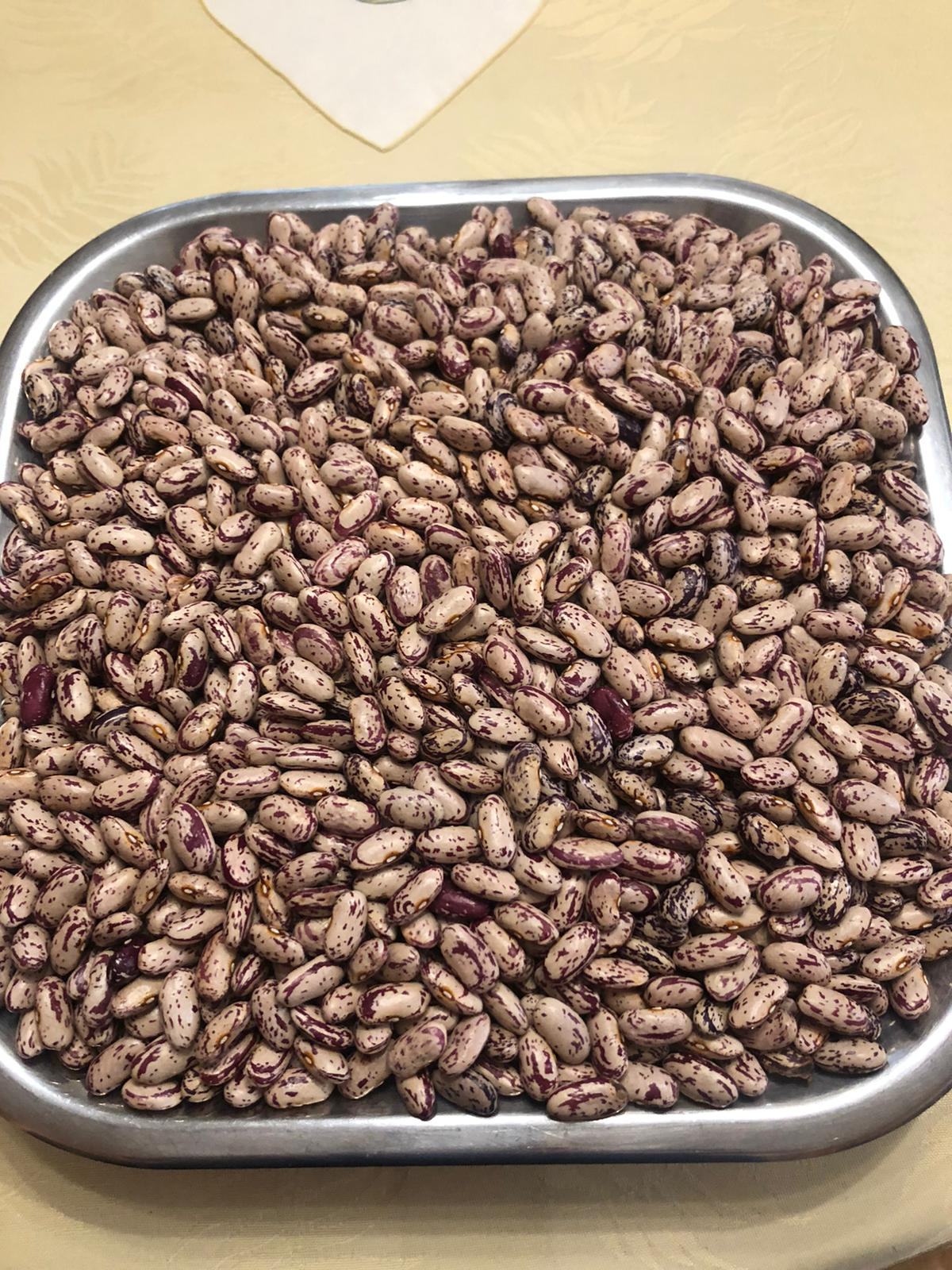 Prodajem visoki grah trešnjevac - Okolica Varaždina