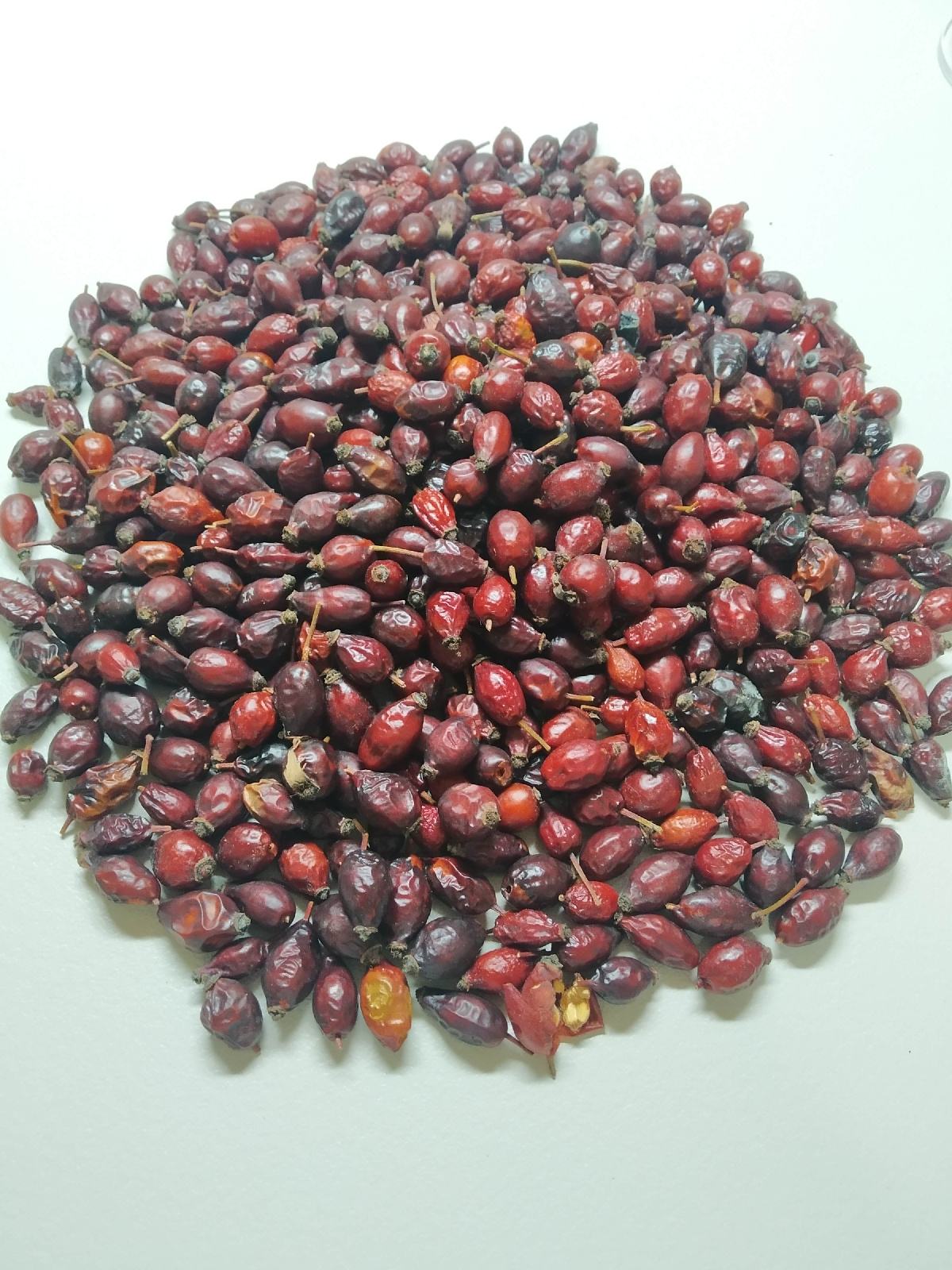 Šipak, sušeni, Bio, za čaj