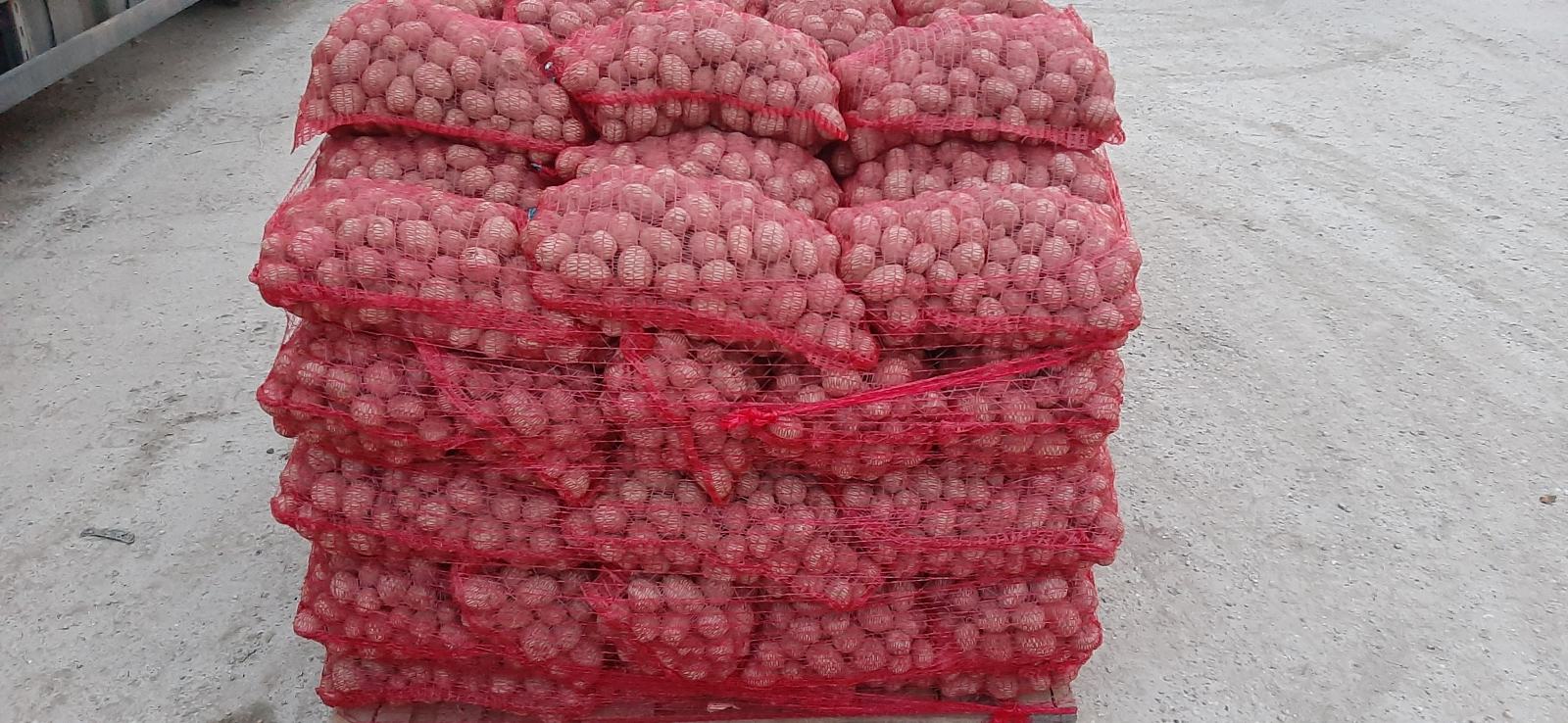 Sjemenski krumpir Bellarosa i Arizona