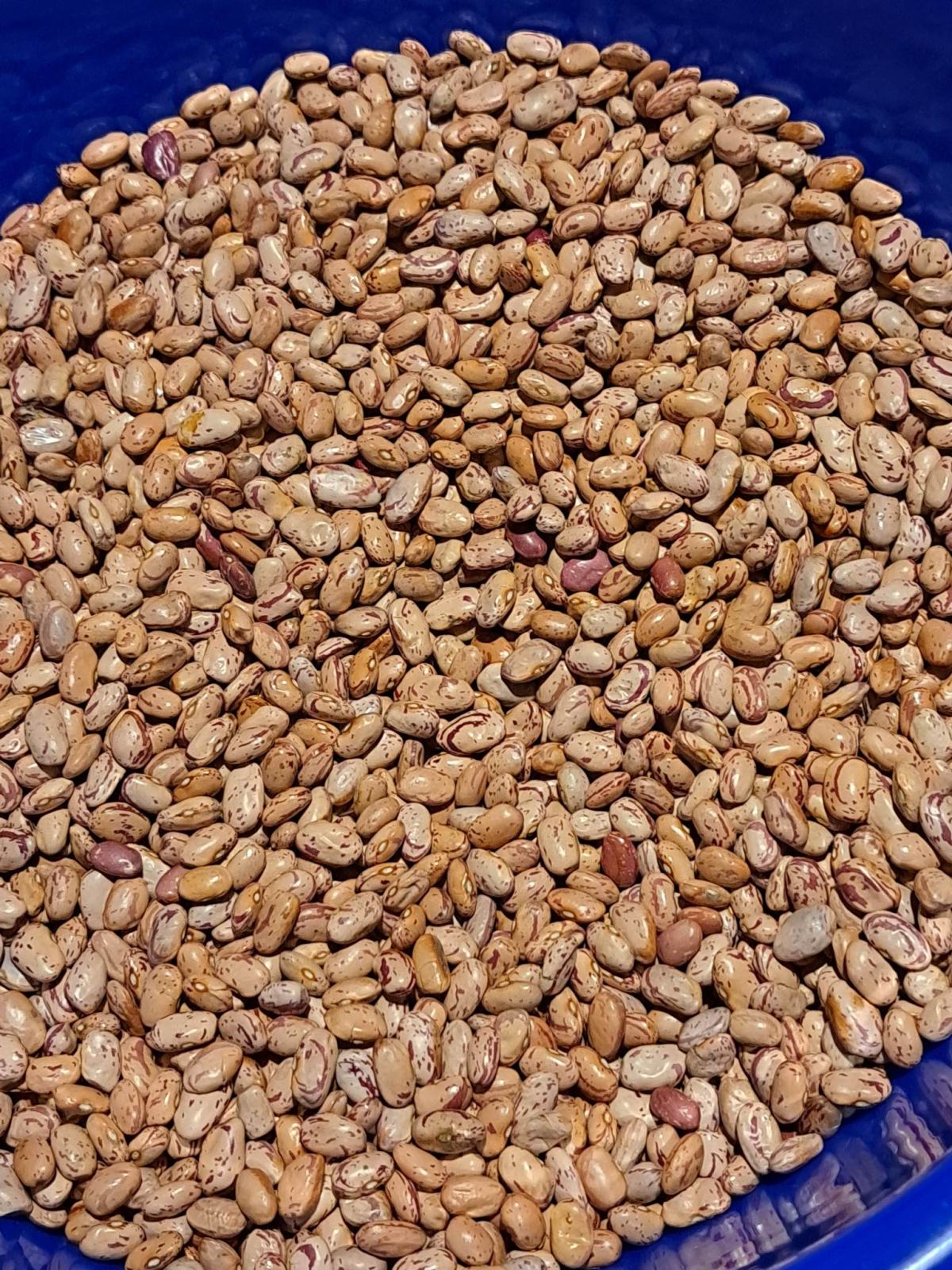 SUHI GRAH TREŠNJEVAC