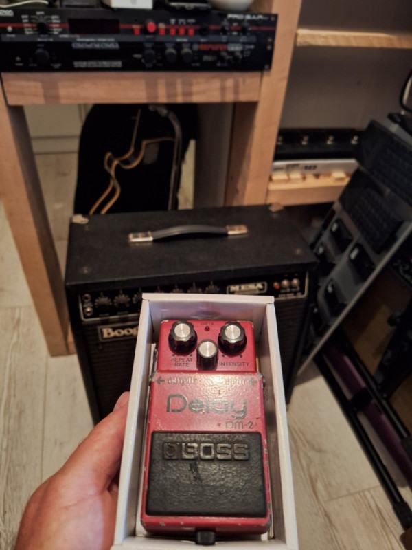Boss DM-2