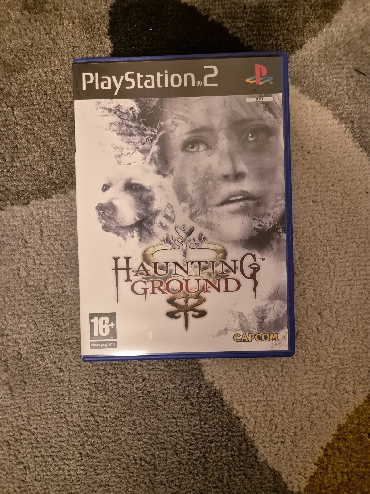 Haunting Ground ps2