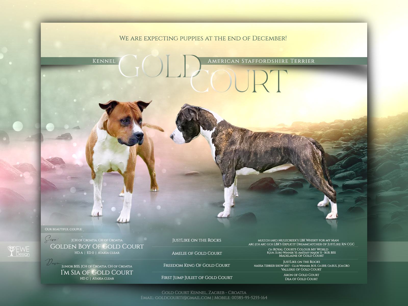 Americki staford terijer stenci